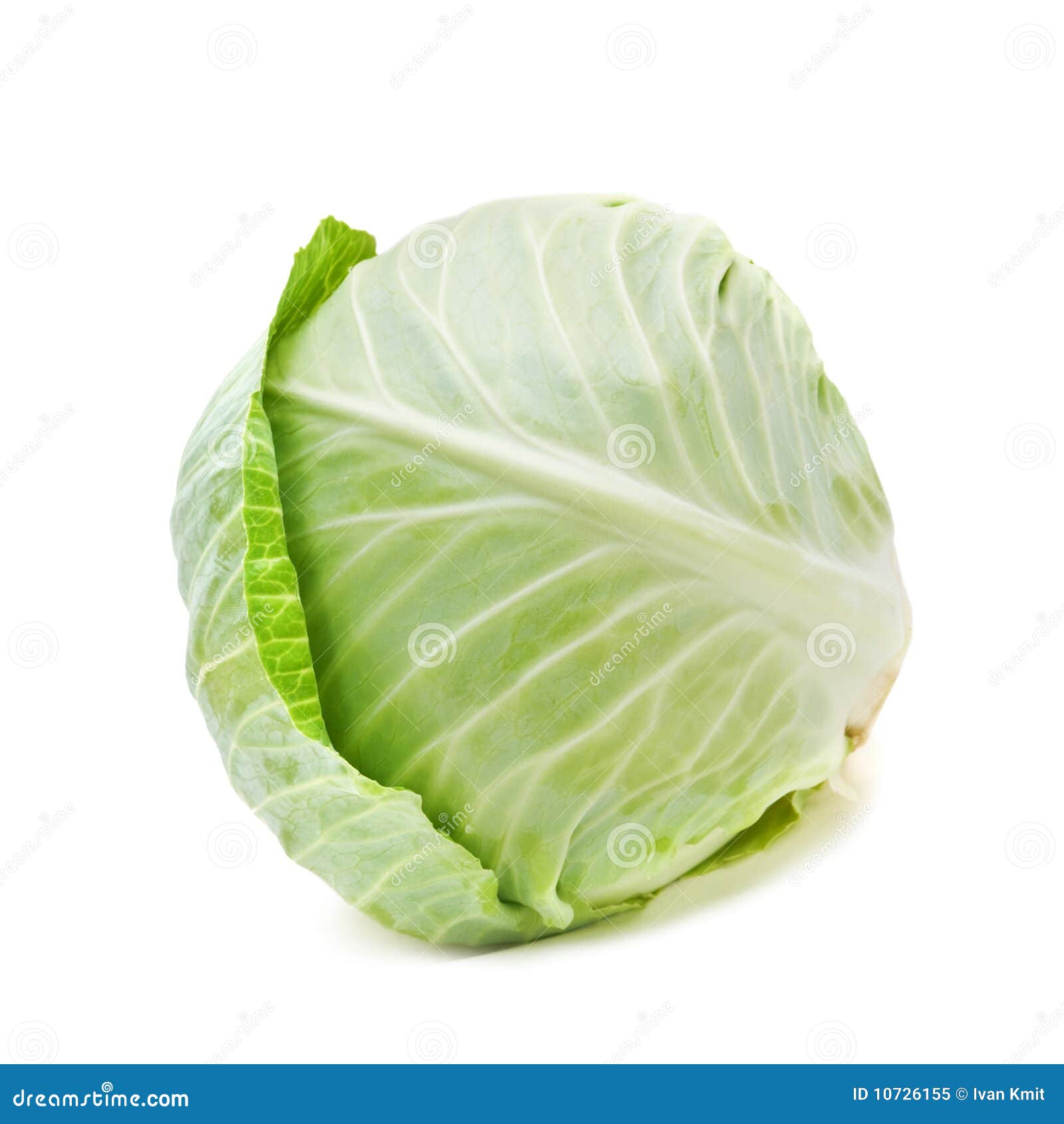 Cabbage stock image. Image of single, freshness, background - 10726155