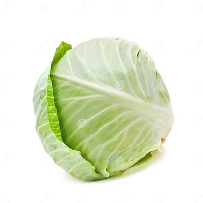 Cabbage stock image. Image of single, freshness, background - 10726155