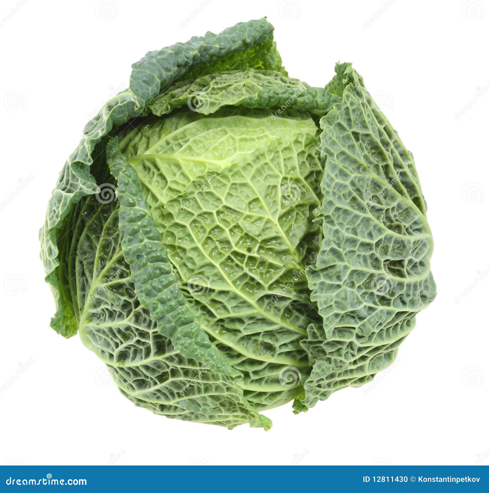 Cabbage stock photo. Image of isolated, sphere, vegetable - 12811430
