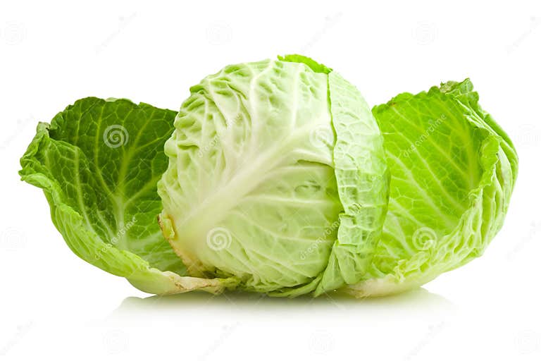 Cabbage stock image. Image of diet, isolated, superfood - 19608225