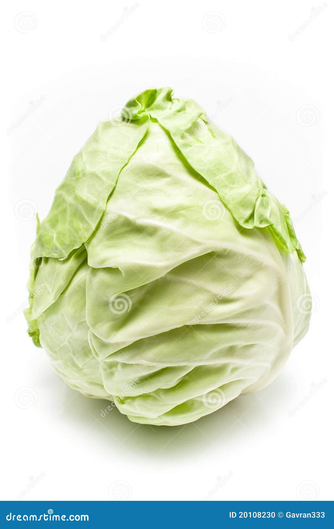 Cabbage stock photo. Image of nutrition, ingredient, healthy - 20108230