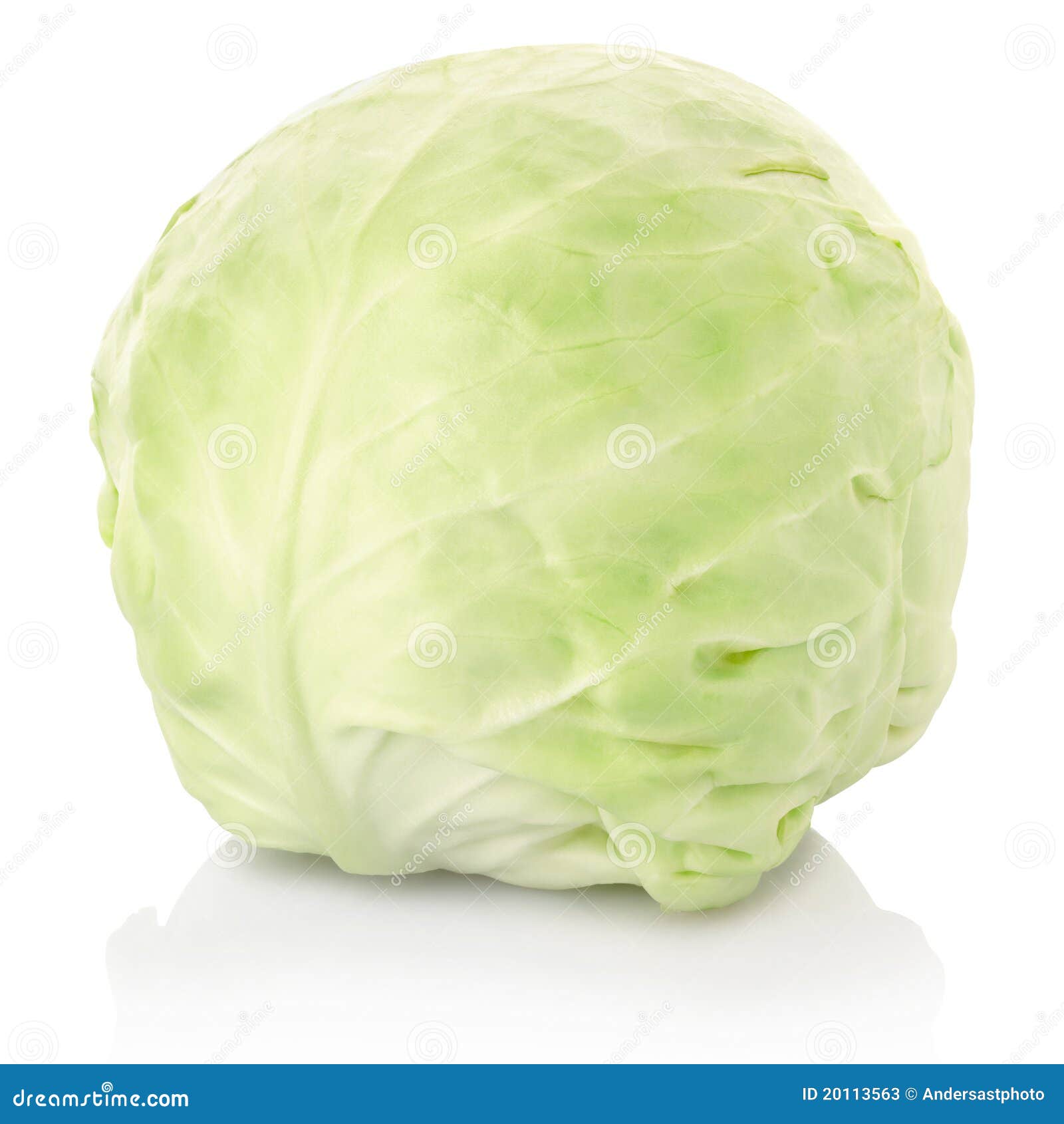 Cabbage stock image. Image of nature, organic, green - 20113563