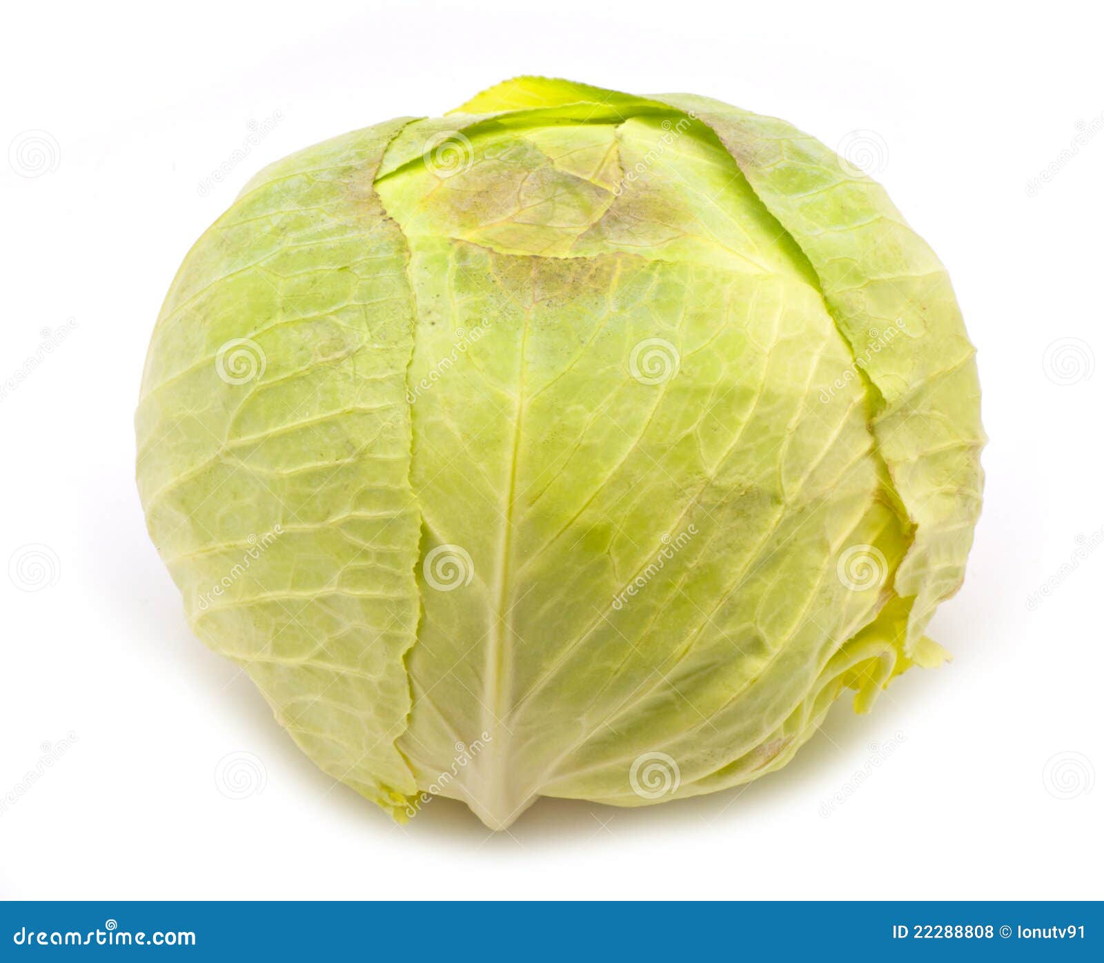 Cabbage stock photo. Image of sheets, details, vegetarian - 22288808