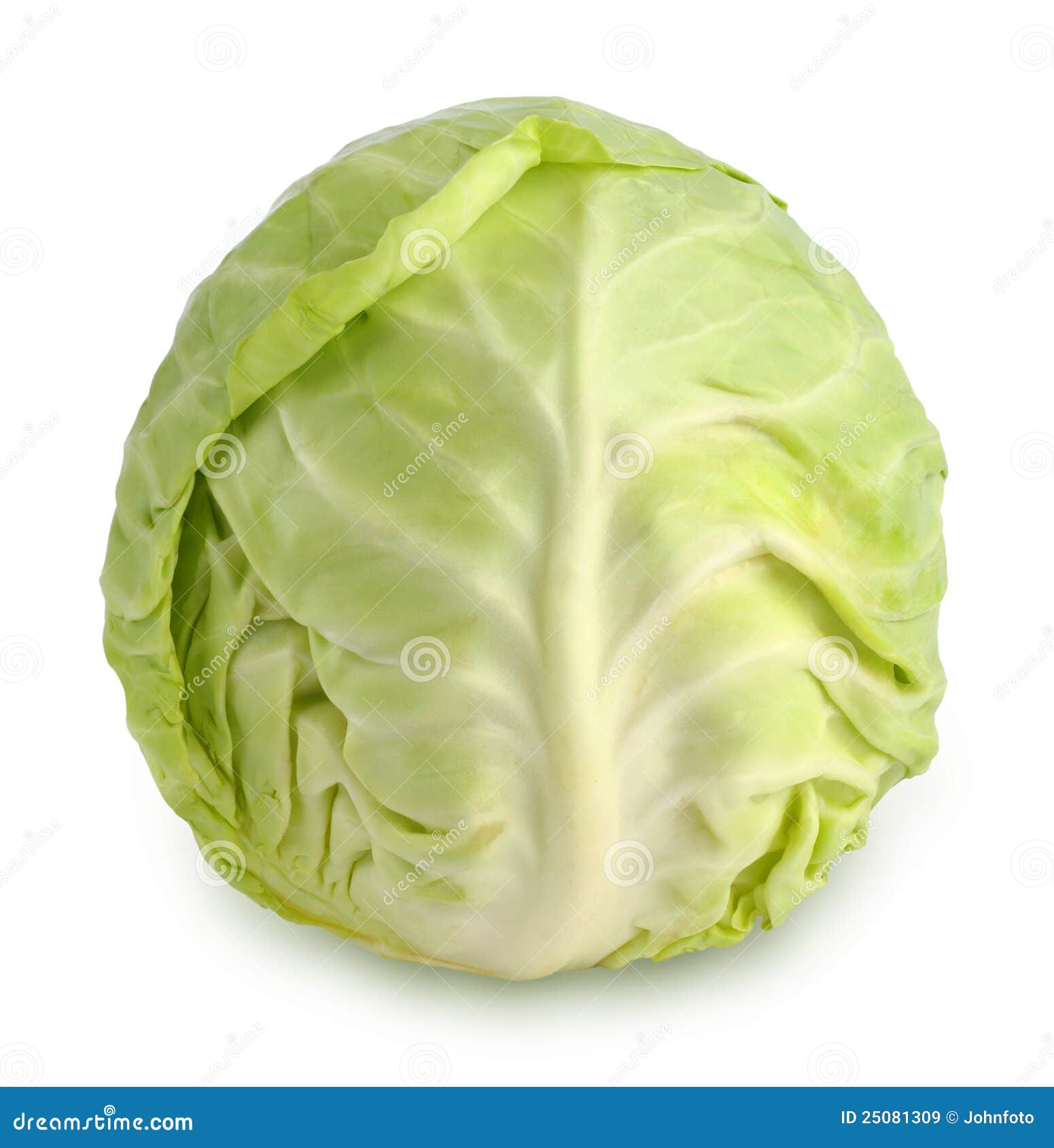 Cabbage stock image. Image of tasty, diet, healthy, food - 25081309