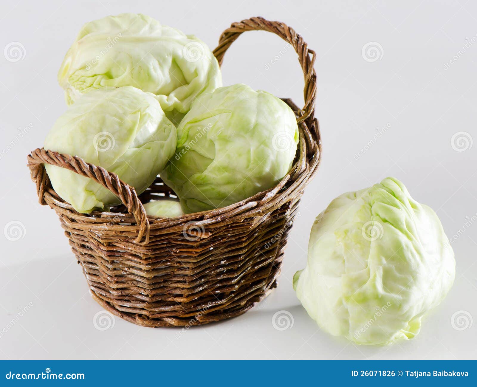 Cabbage stock photo. Image of harvest, basket, healthy - 26071826