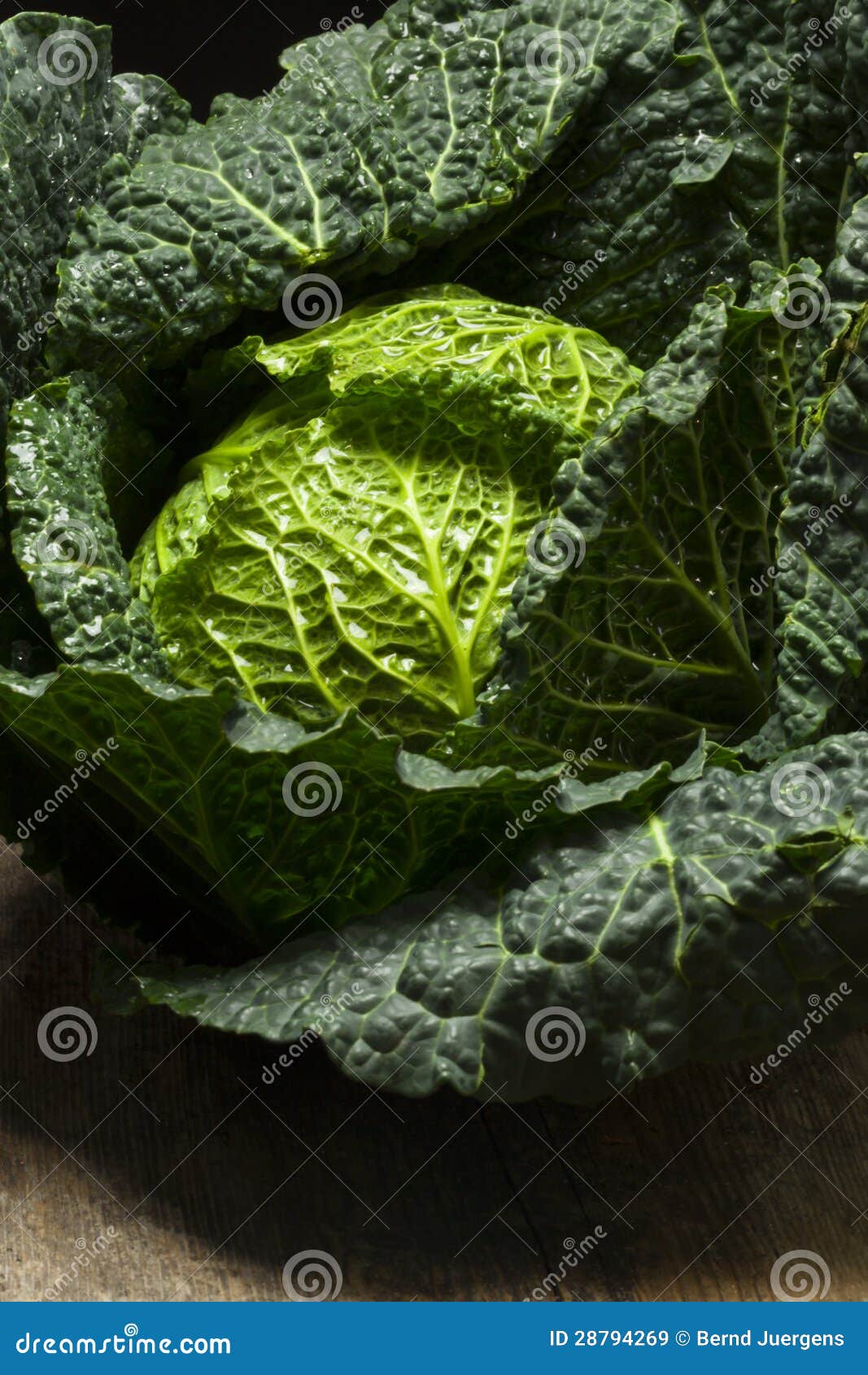 Cabbage stock image. Image of head, fresh, nutrient, ingredient - 28794269
