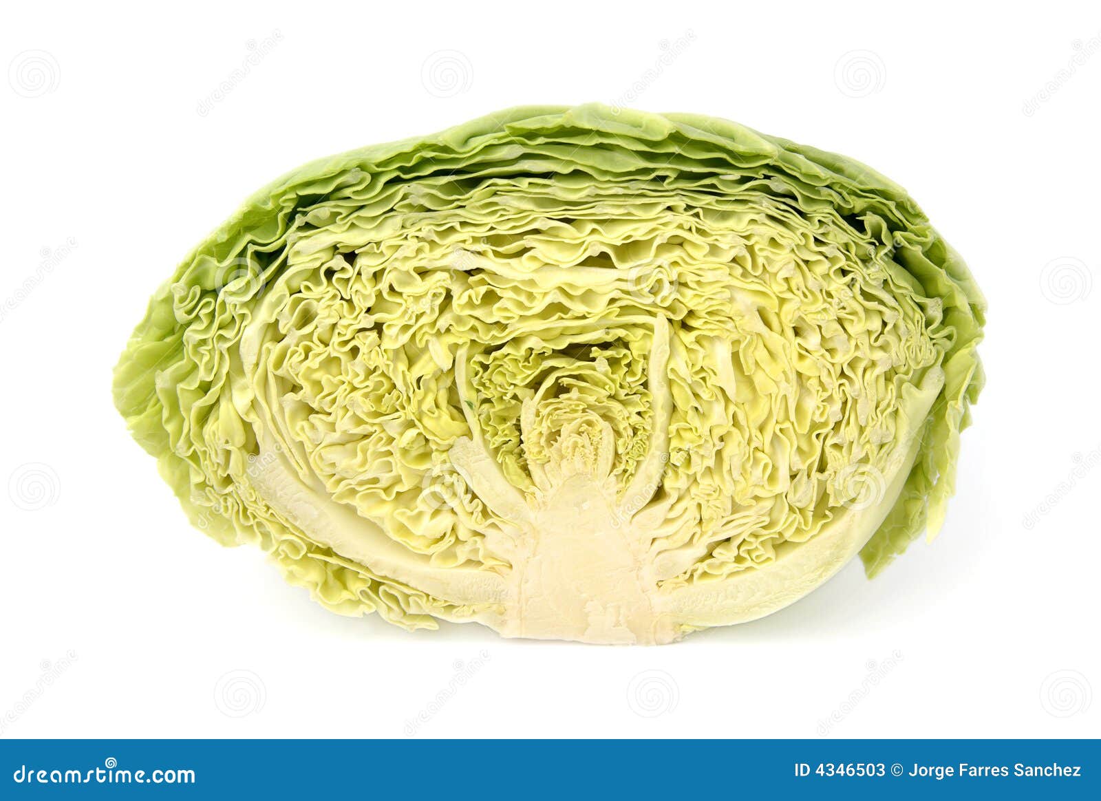 Cabbage Picture. Image: 4346503