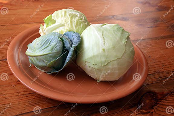 Cabbage stock photo. Image of antioxidants, health, minerals - 6621092
