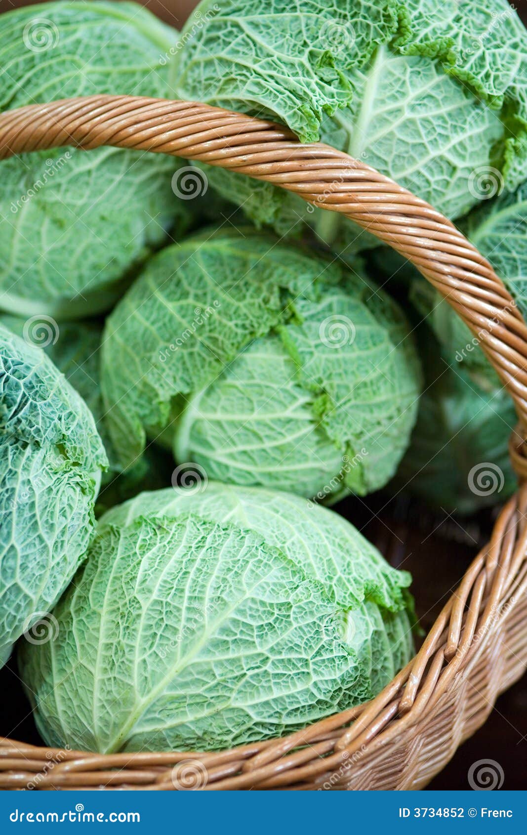 Cabbage in a basket stock photo. Image of freshness, delicious - 3734852