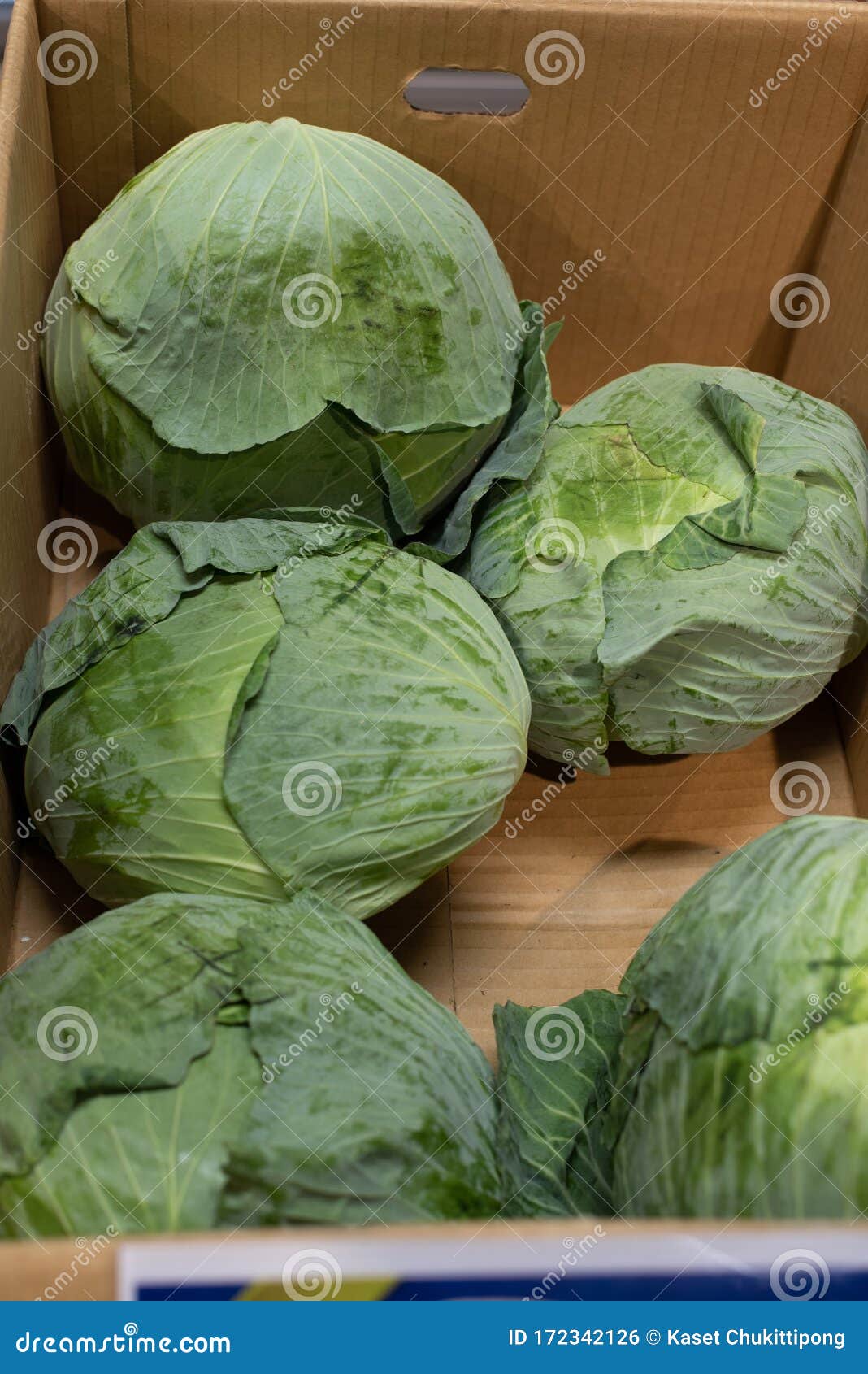 Cabbage in a box stock photo. Image of shop, cabbage - 172342126
