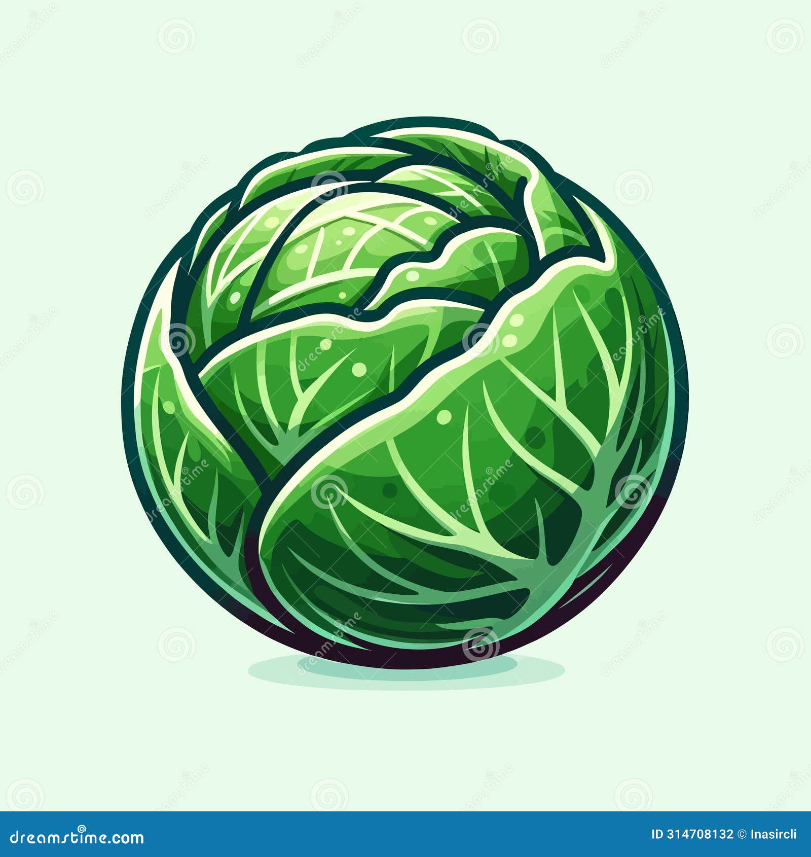 Cabbage Cartoon Style Flat Vector Illustration Stock Vector ...