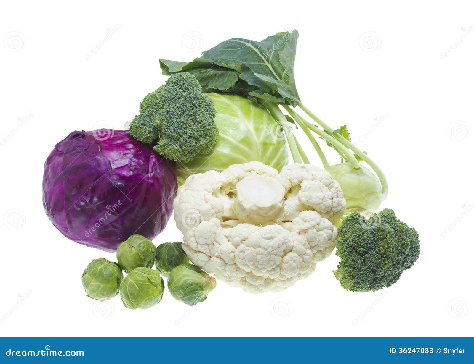 Cabbage collection stock image. Image of variety, turnip - 36247083