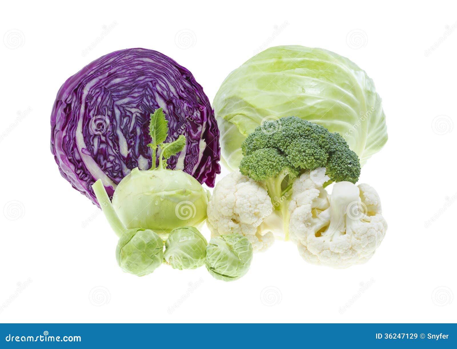 Cabbage collection stock image. Image of brassica, cabbage - 36247129