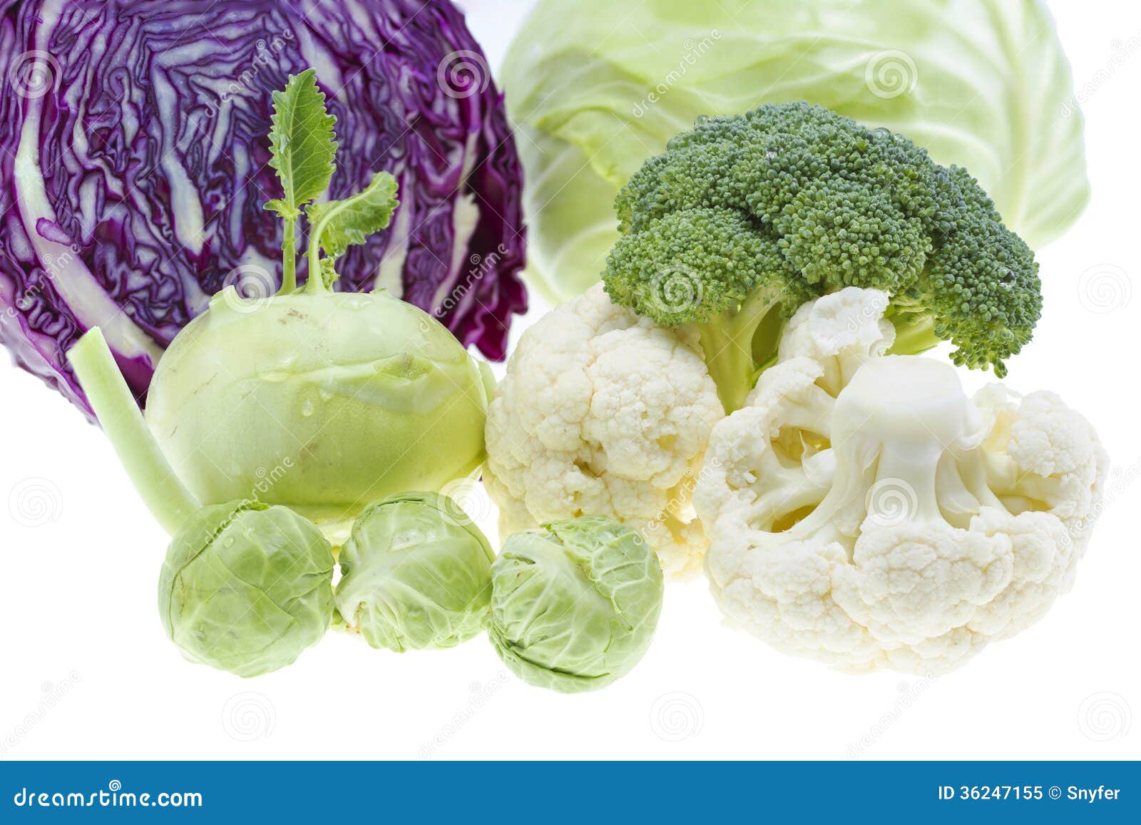 Cabbage collection stock image. Image of collection, sprouts - 36247155