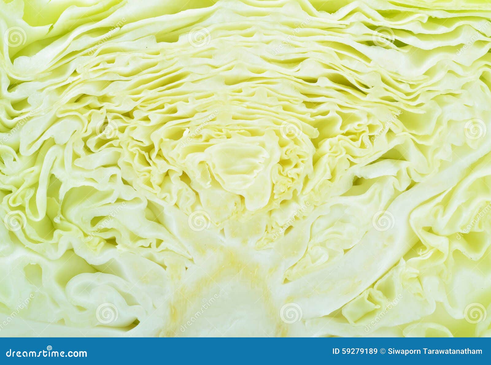 Red Cabbage Cross Section Close-up Detail Royalty-Free Stock Image ...