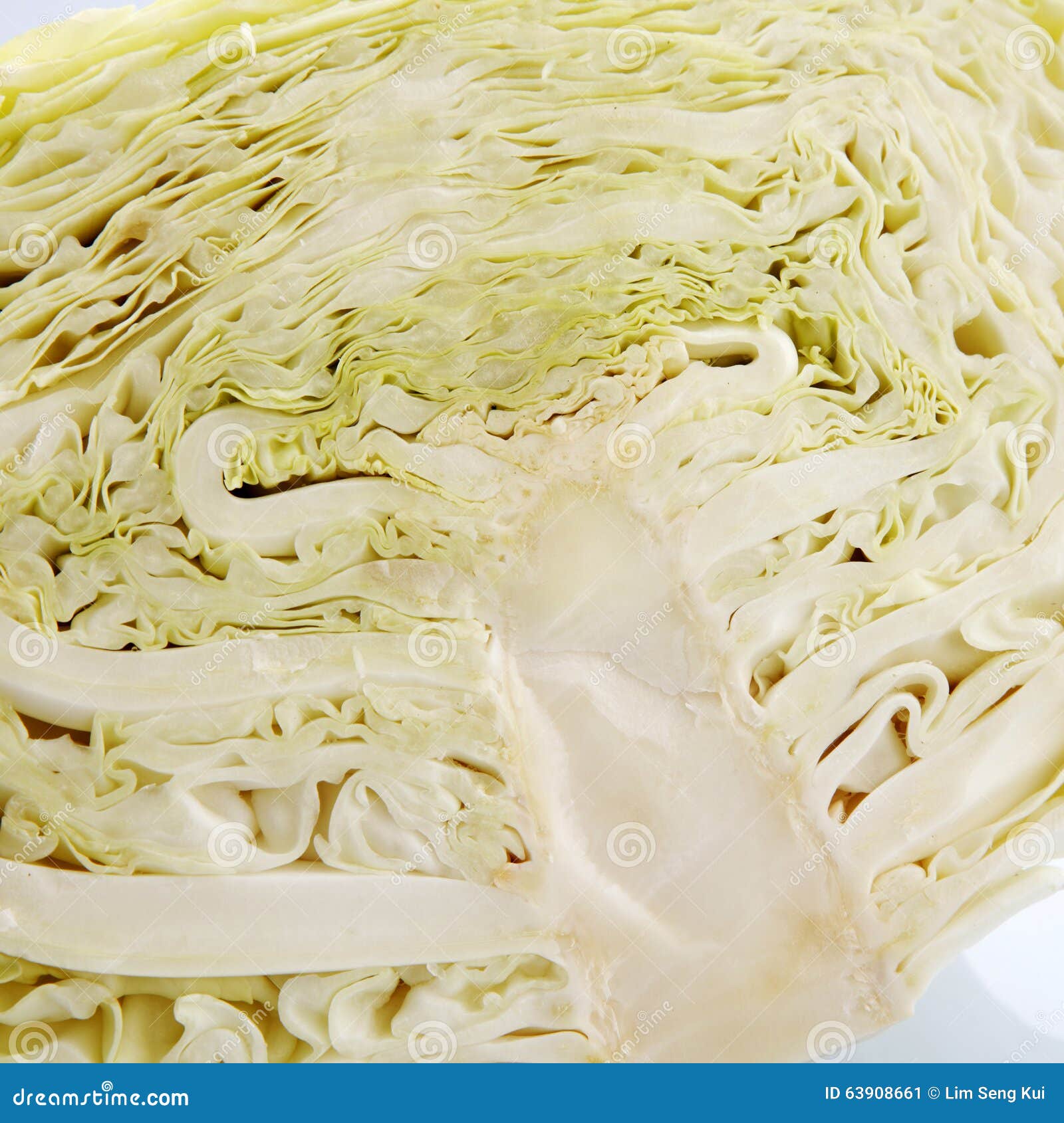 Cabbage stock image. Image of cabbage, sliced, vegetarian - 63908661