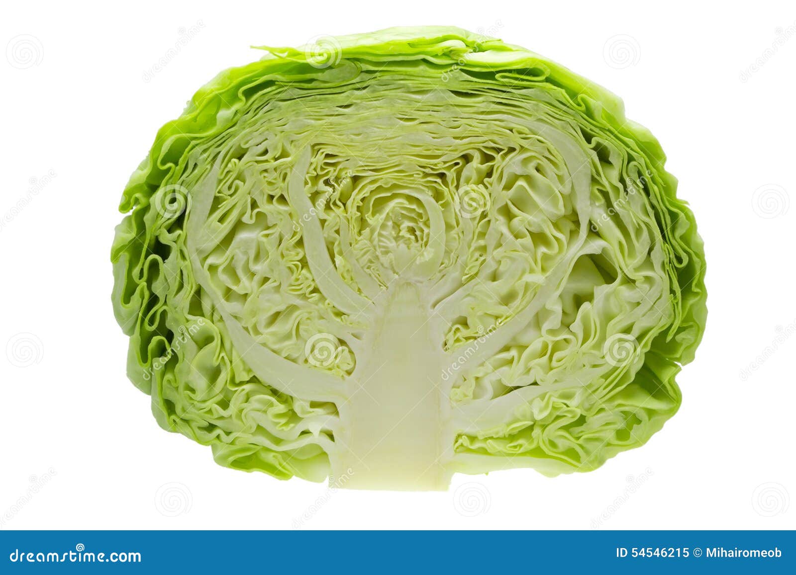 Cabbage cut in half stock image. Image of food, diet - 54546215