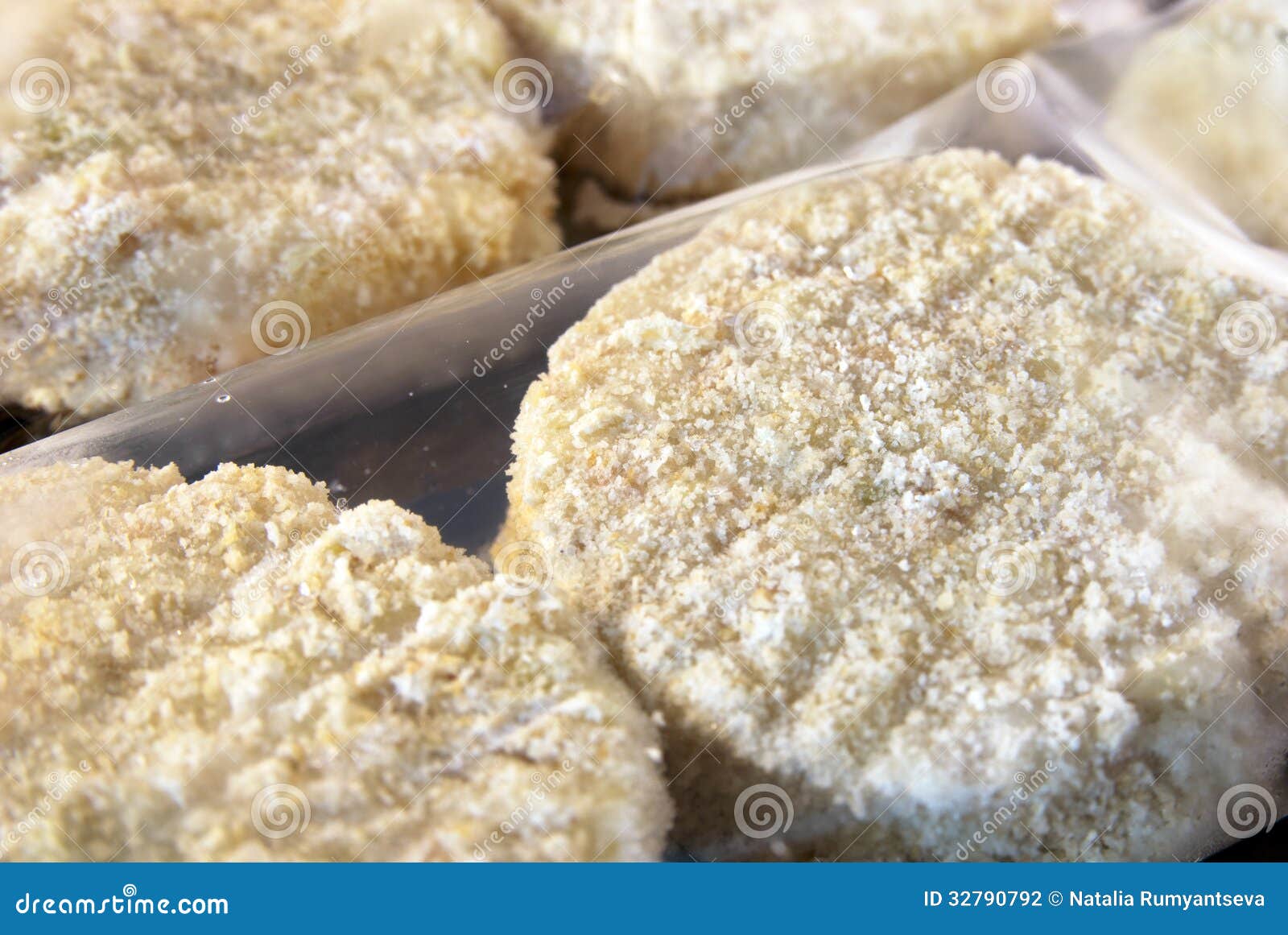 Cabbage cutlets stock photo. Image of cutlet, frosty - 32790792
