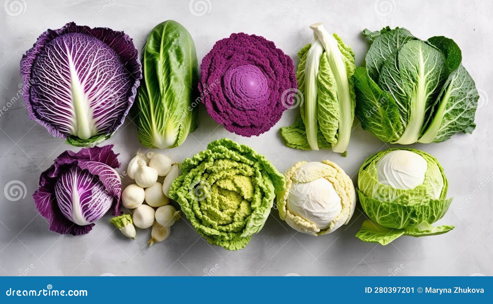 Cabbage of Different Varieties and Types, Flatlay Vegetables, a Banner ...