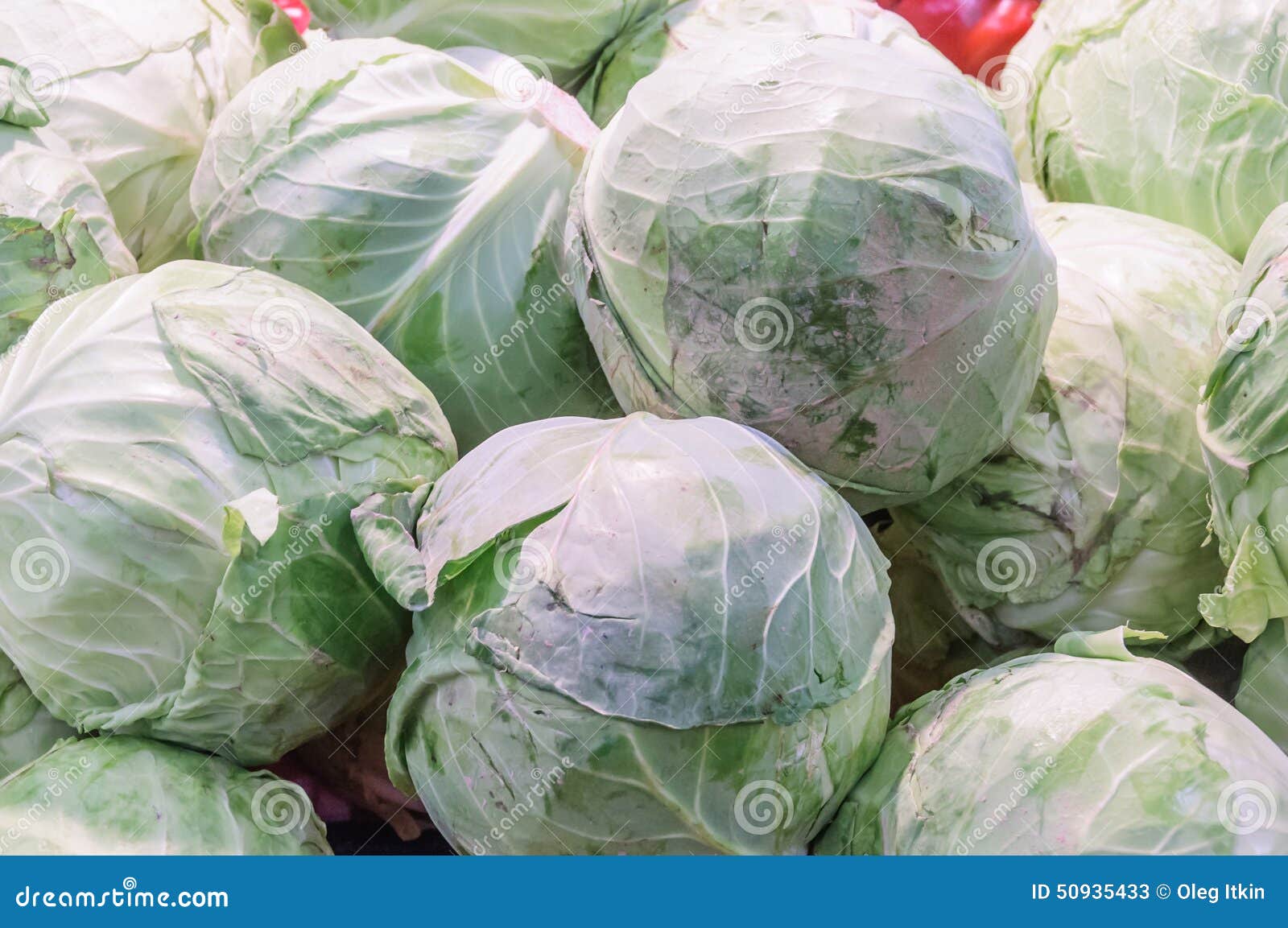 Cabbage stock image. Image of group, heap, supermarket - 50935433