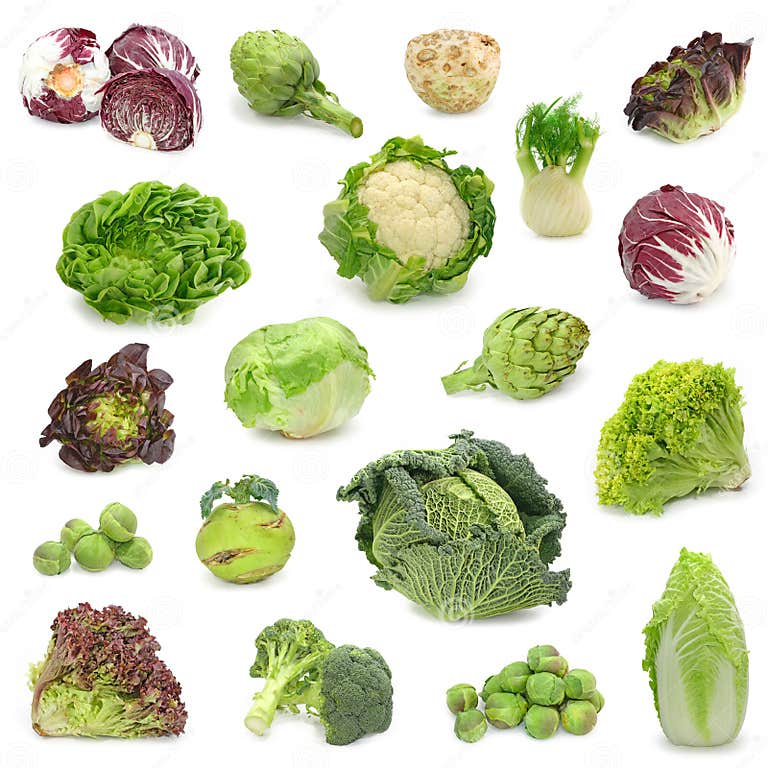 Cabbage and Green Vegetable Collection Stock Image - Image of celery ...