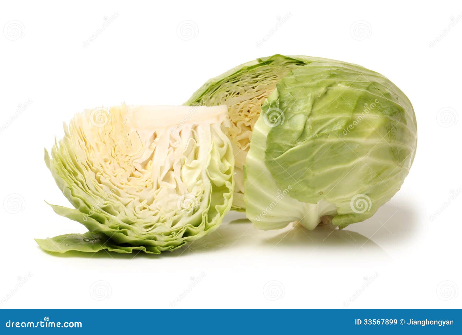 Cabbage stock image. Image of circle, nature, plant, healthy - 33567899