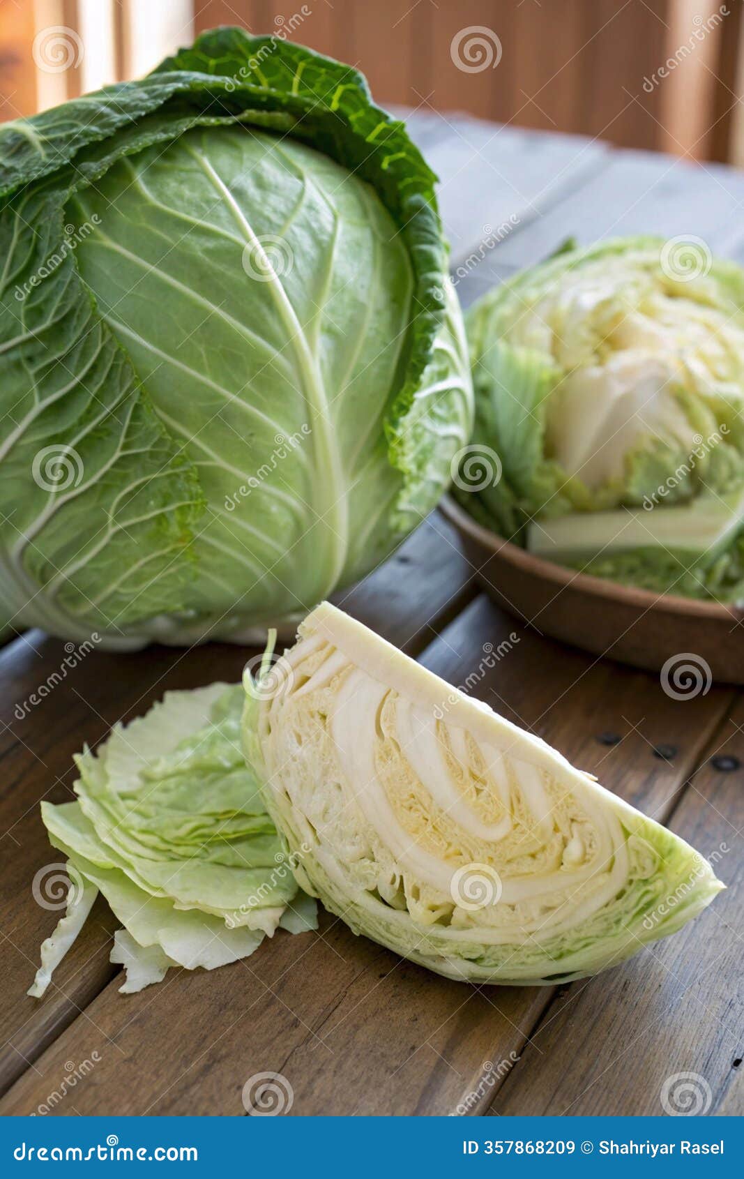 Cabbage and a Half stock illustration. Illustration of styling - 357868209