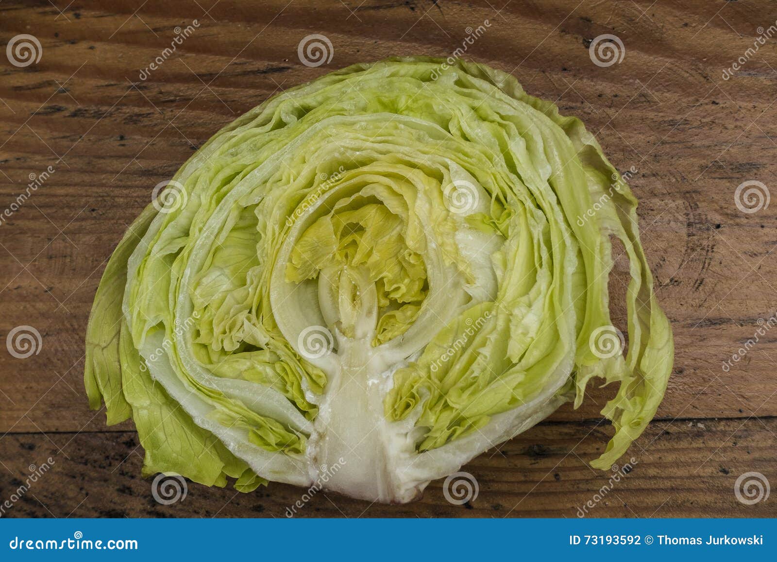 Cabbage stock photo. Image of wooden, chopping, diet - 73193592