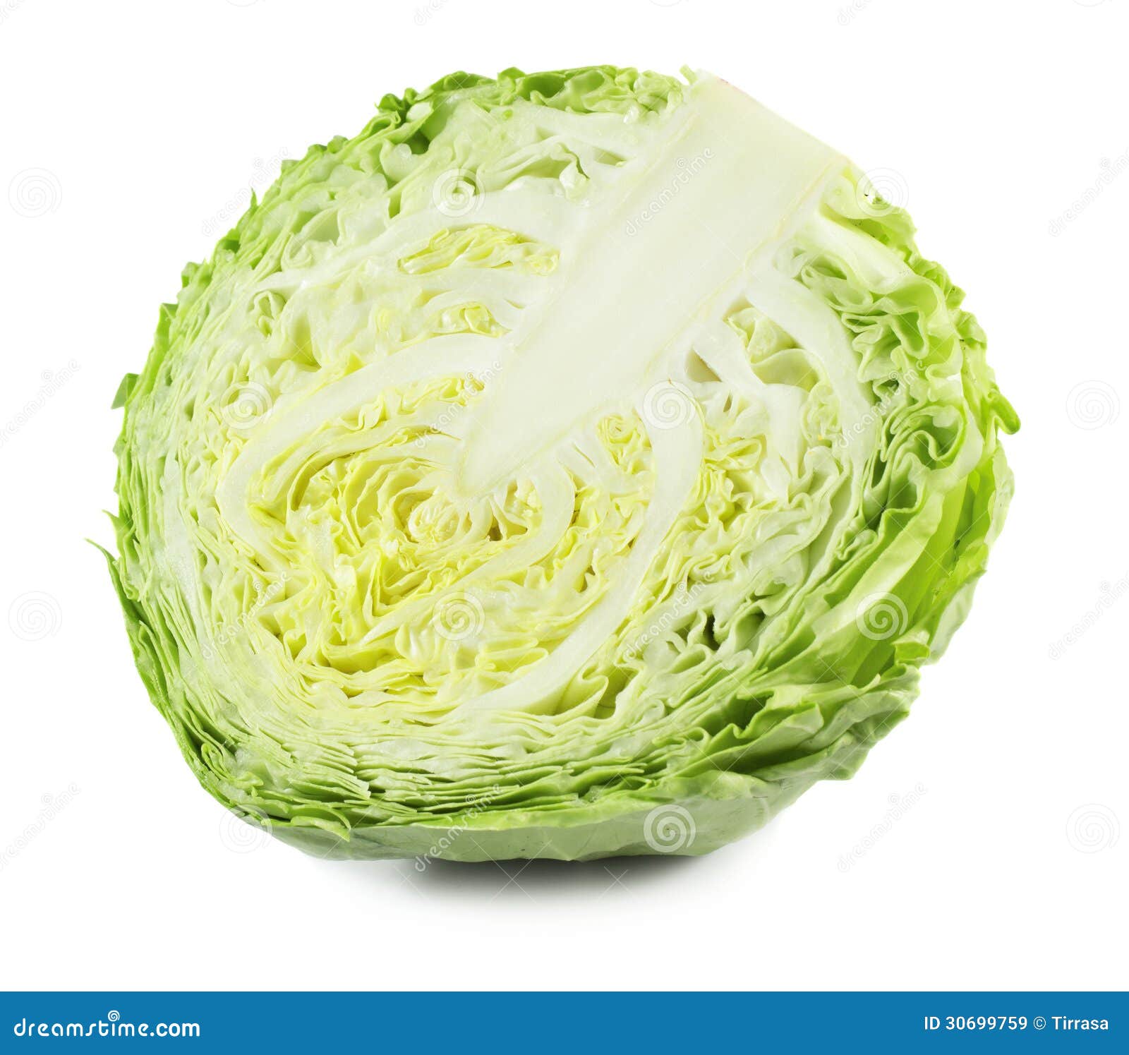 Cabbage stock image. Image of close, studio, portion - 30699759