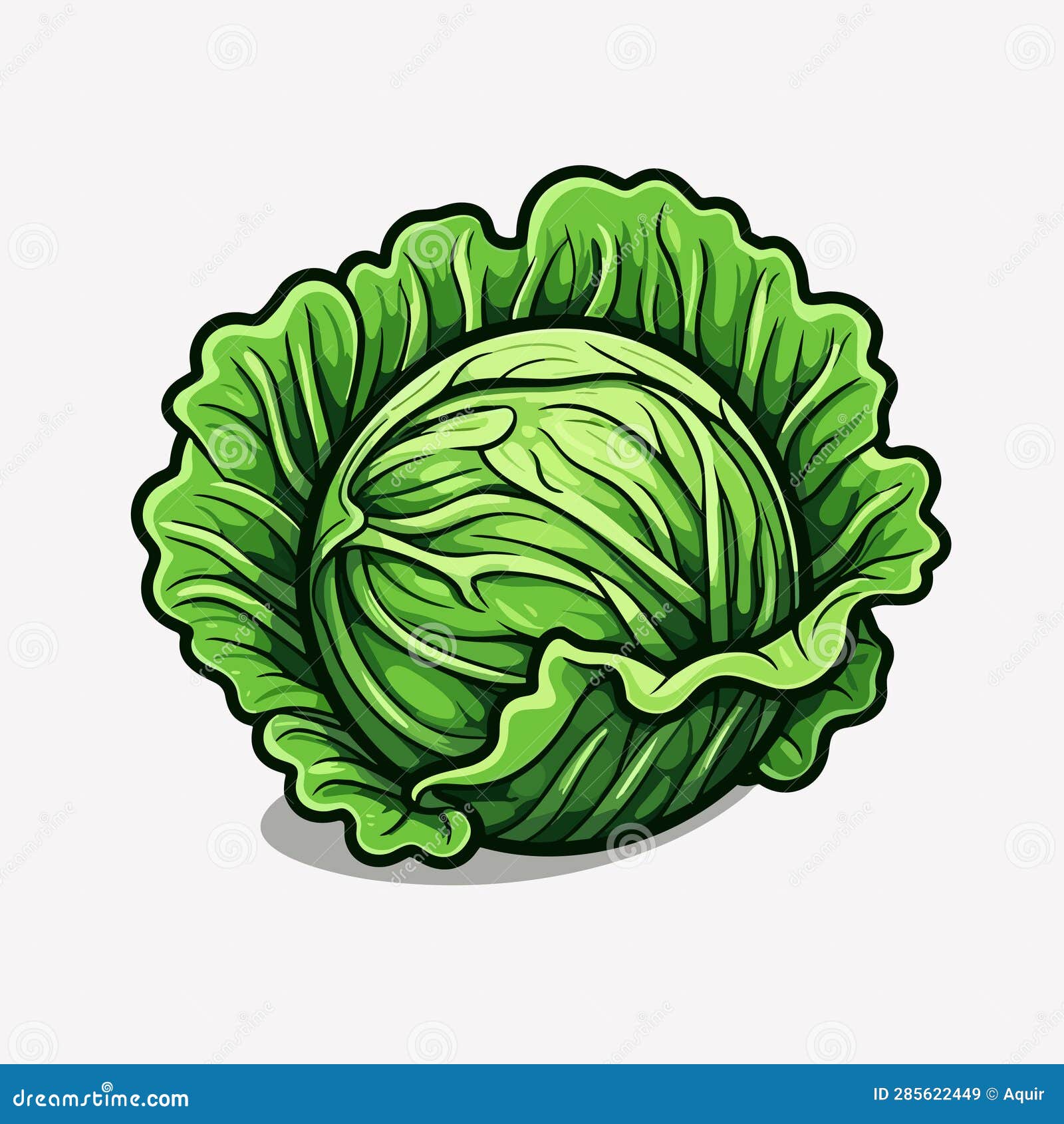 Cabbage Hand-drawn Illustration. Cabbage. Vector Doodle Style Cartoon ...