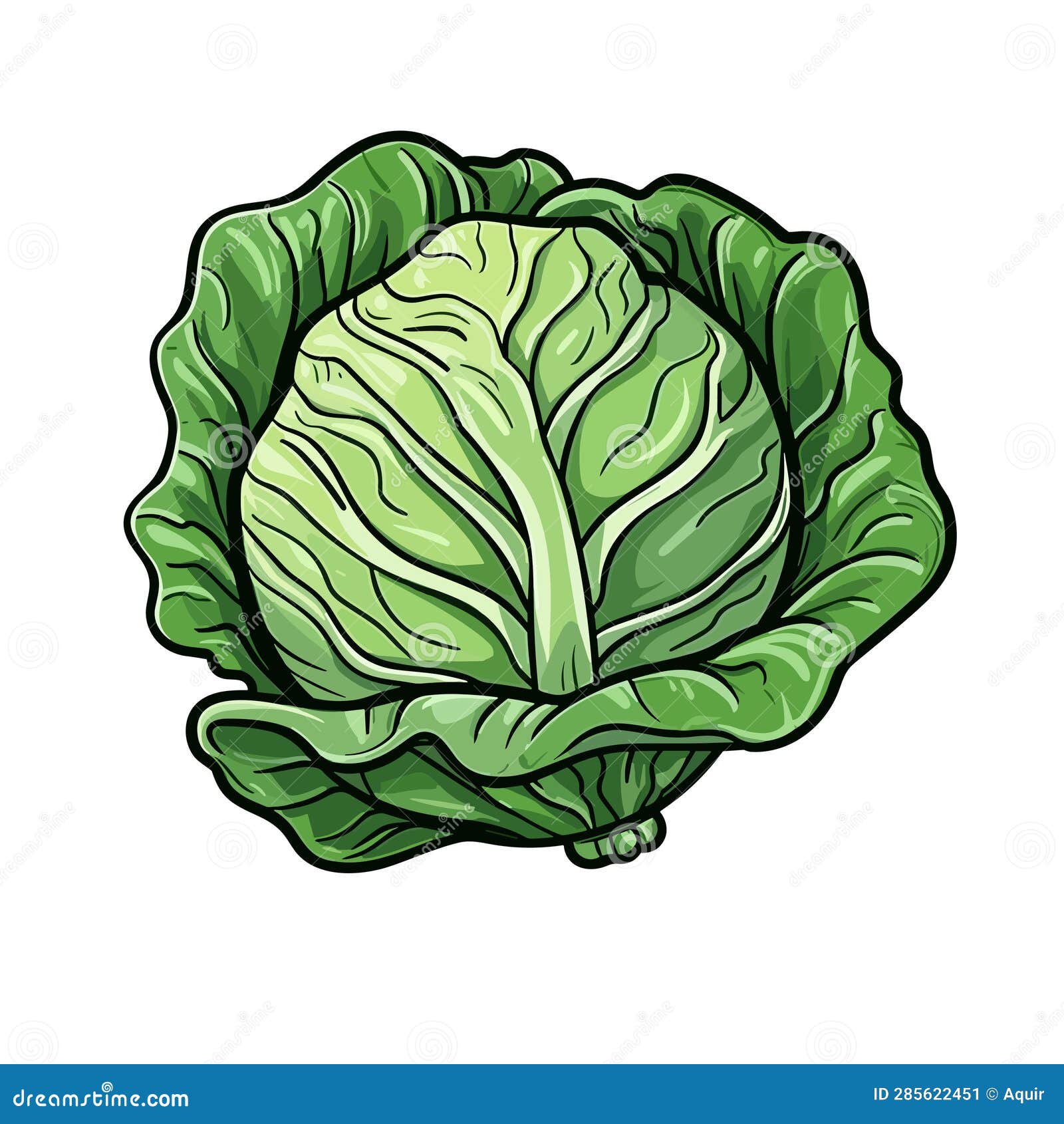 Cabbage Hand-drawn Illustration. Cabbage. Vector Doodle Style Cartoon ...