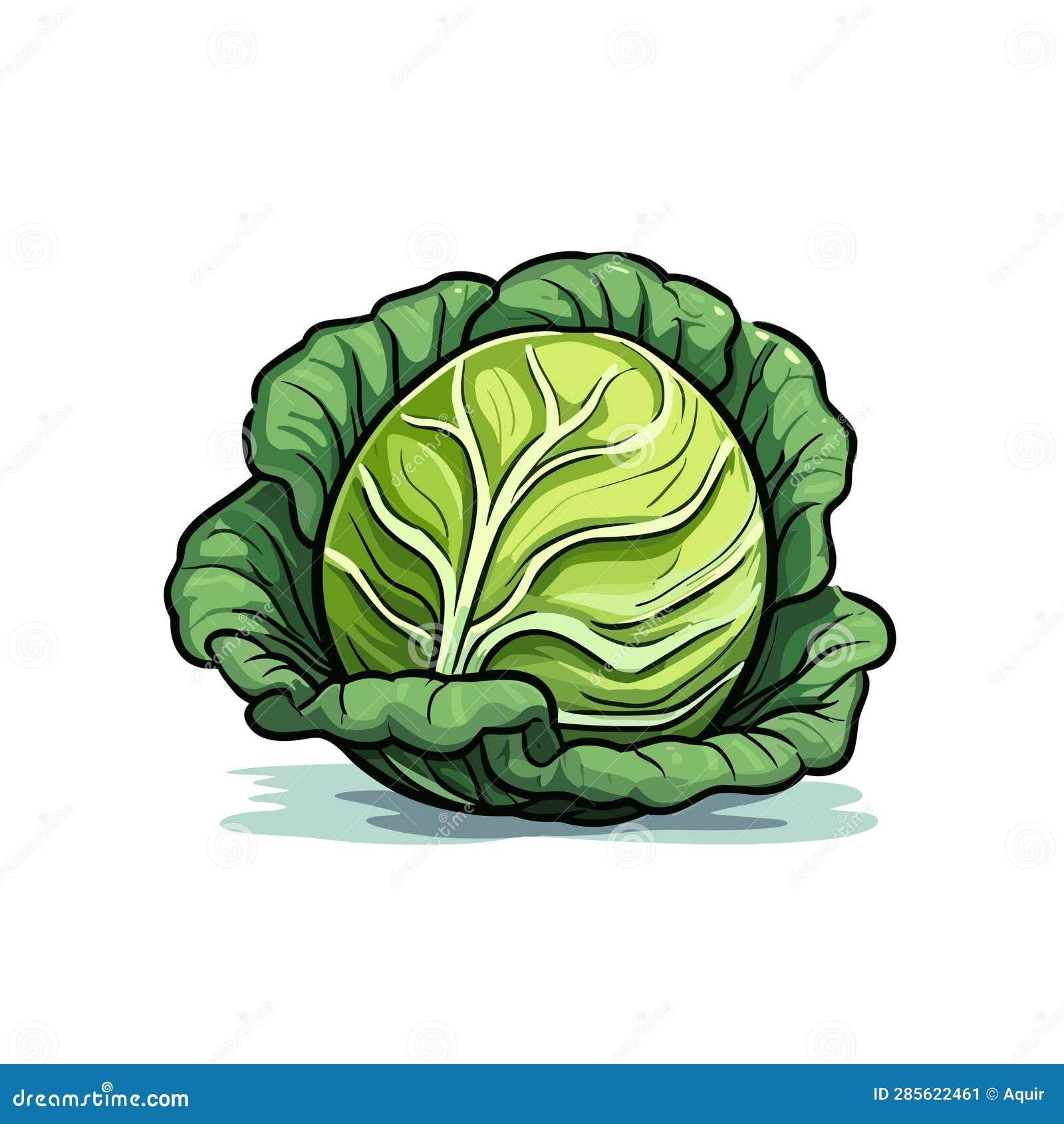 Cabbage Hand-drawn Illustration. Cabbage. Vector Doodle Style Cartoon ...