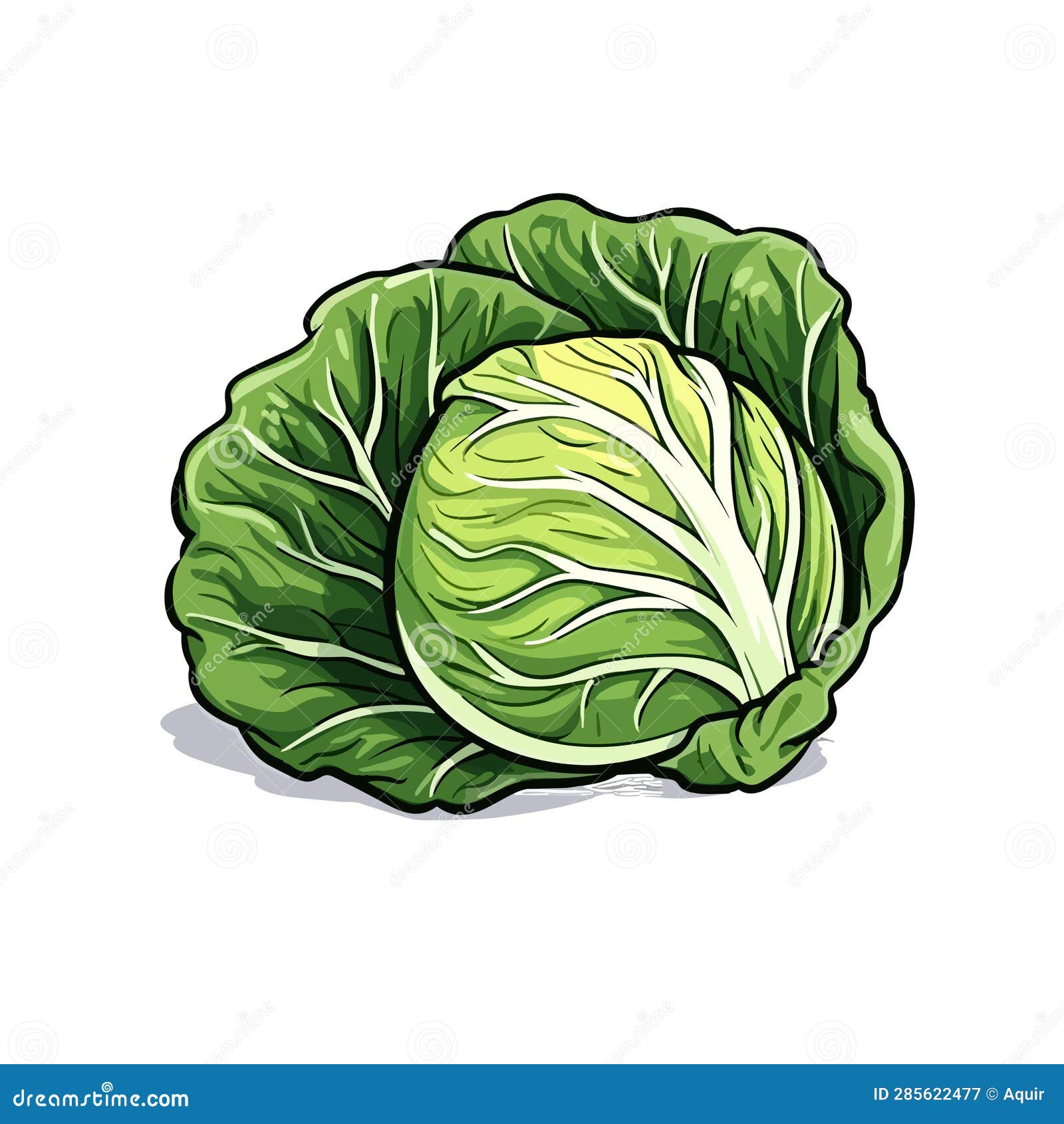 Cabbage Hand-drawn Illustration. Cabbage. Vector Doodle Style Cartoon ...