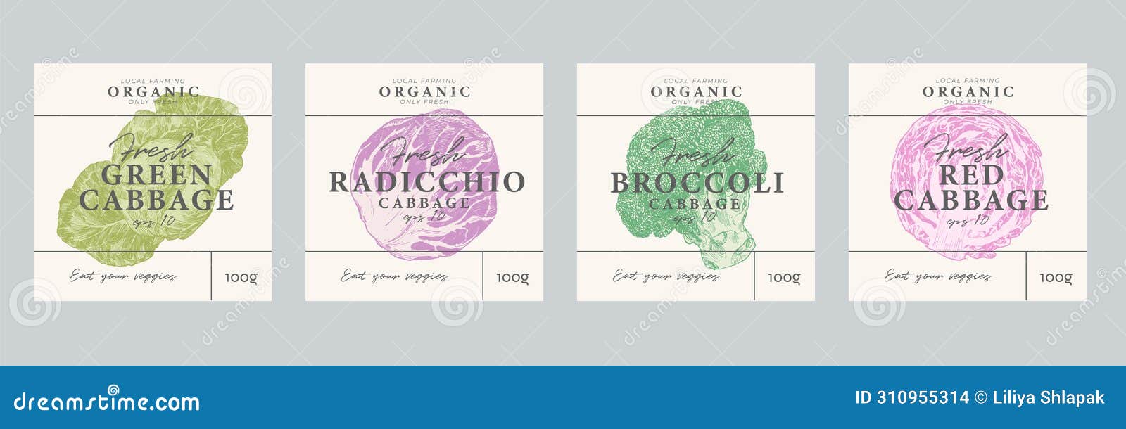 Cabbage Packaging Design Template Stock Vector - Illustration of ...
