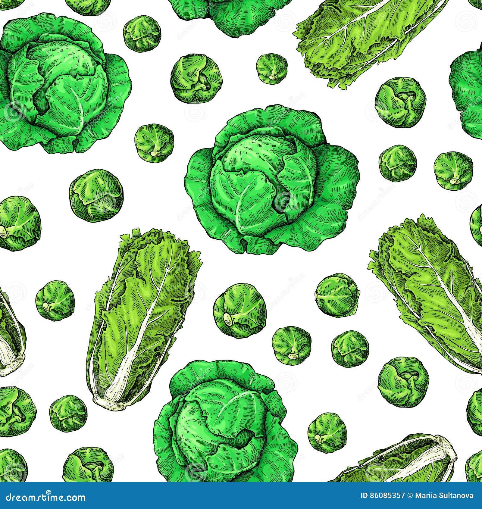Cabbage Hand Drawn Vector Seamless Pattern. Chinese Cabbage, Brussel ...