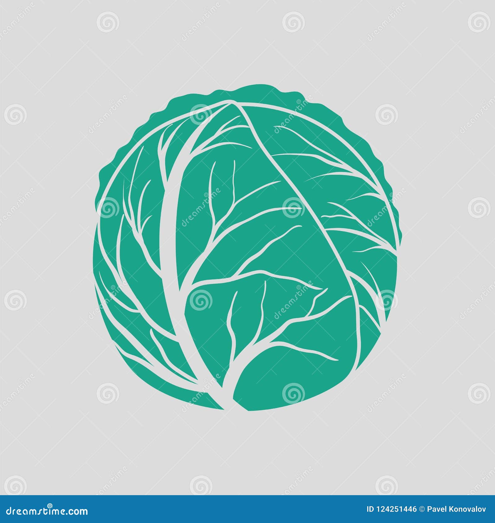 Cabbage icon stock vector. Illustration of logo, vector - 124251446