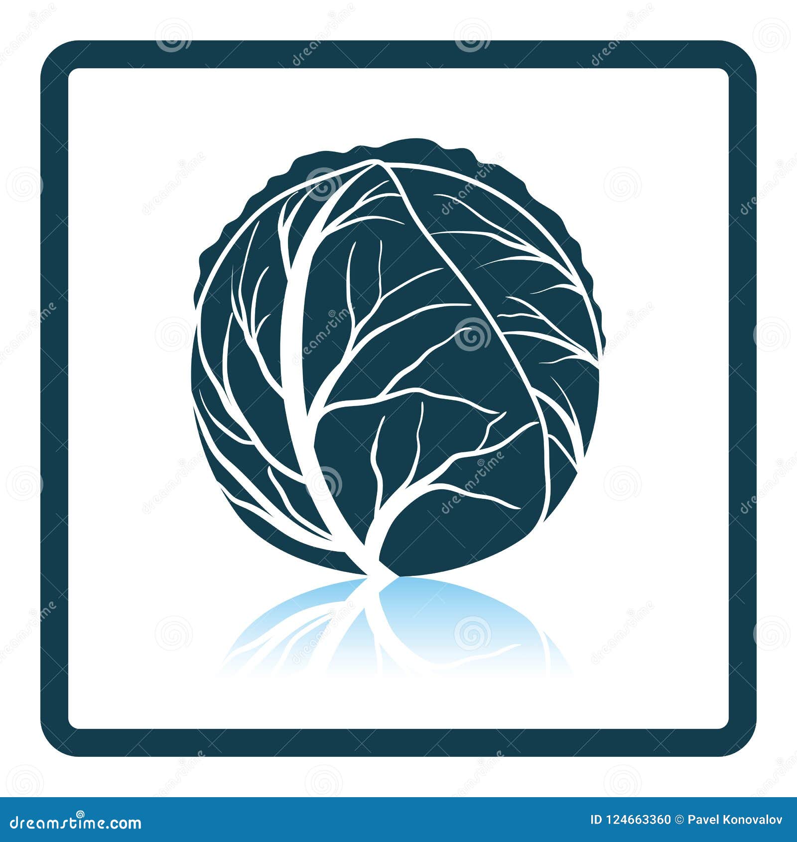 Cabbage icon stock vector. Illustration of single, garden - 124663360