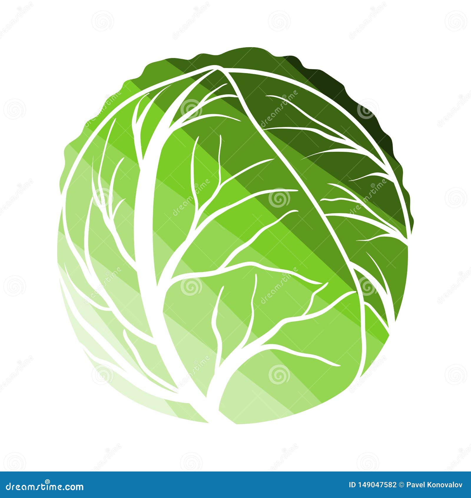 Cabbage Icon stock vector. Illustration of fresh, garden - 149047582