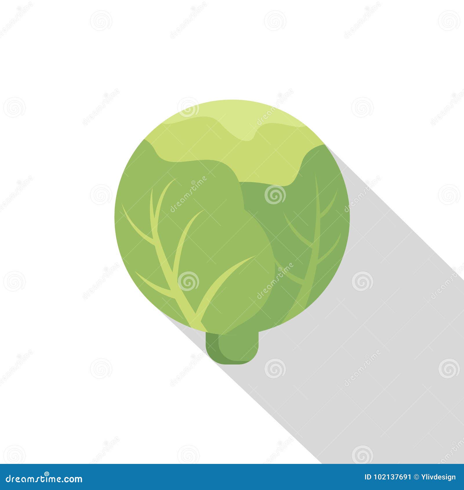 Cabbage icon, flat style stock vector. Illustration of fresh - 102137691