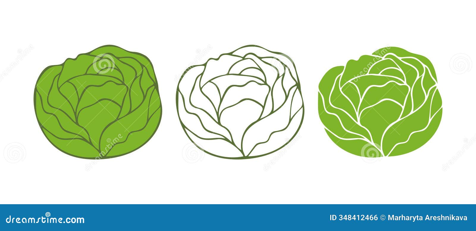 Cabbage Icon Set, Logo Label Sticker, Element for Design, Isolated on ...