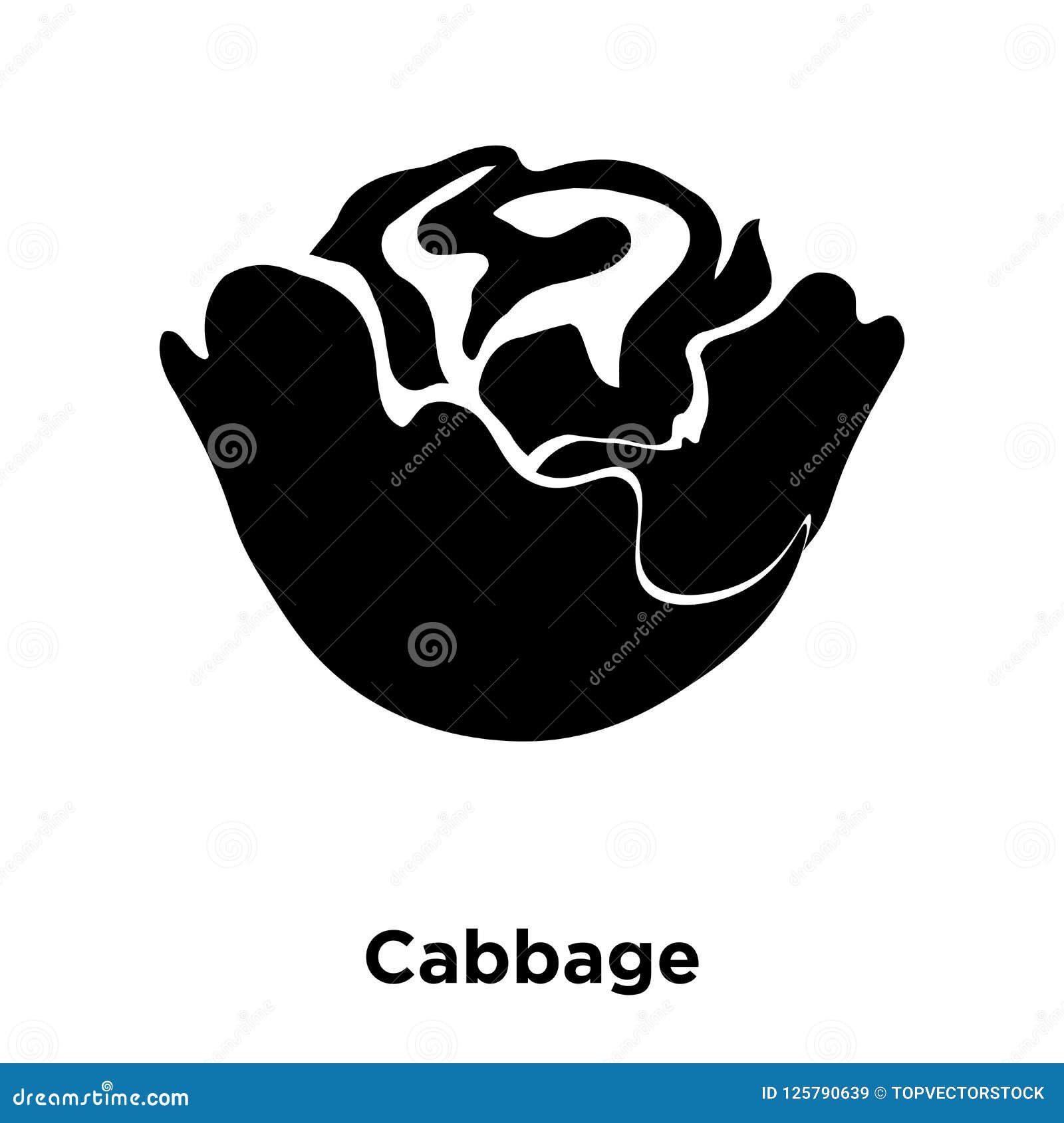 Cabbage Icon Vector Isolated on White Background, Logo Concept O Stock ...