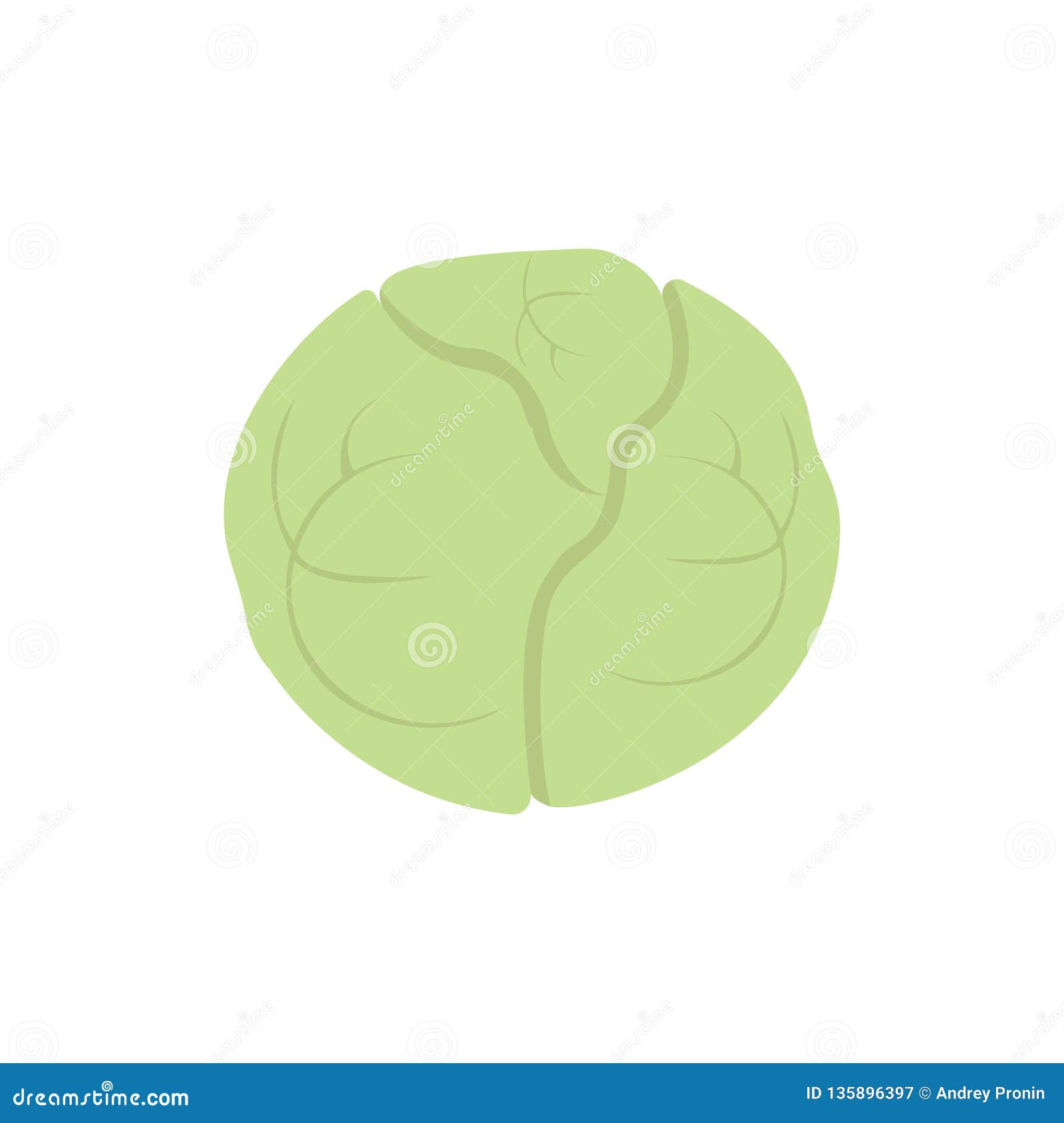 Cabbage Icon on White Background for Graphic and Web Design, Modern ...