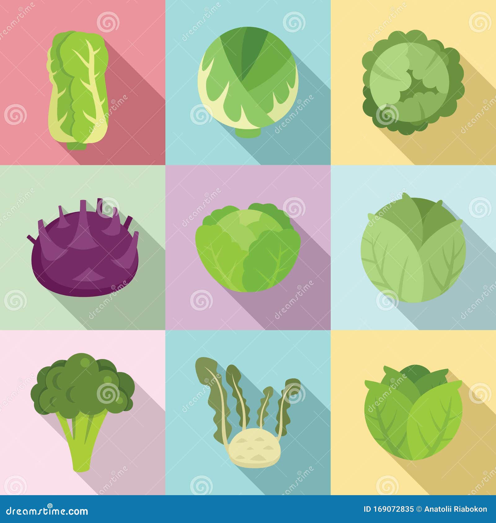Cabbage Icons Set, Flat Style Stock Vector - Illustration of flat ...