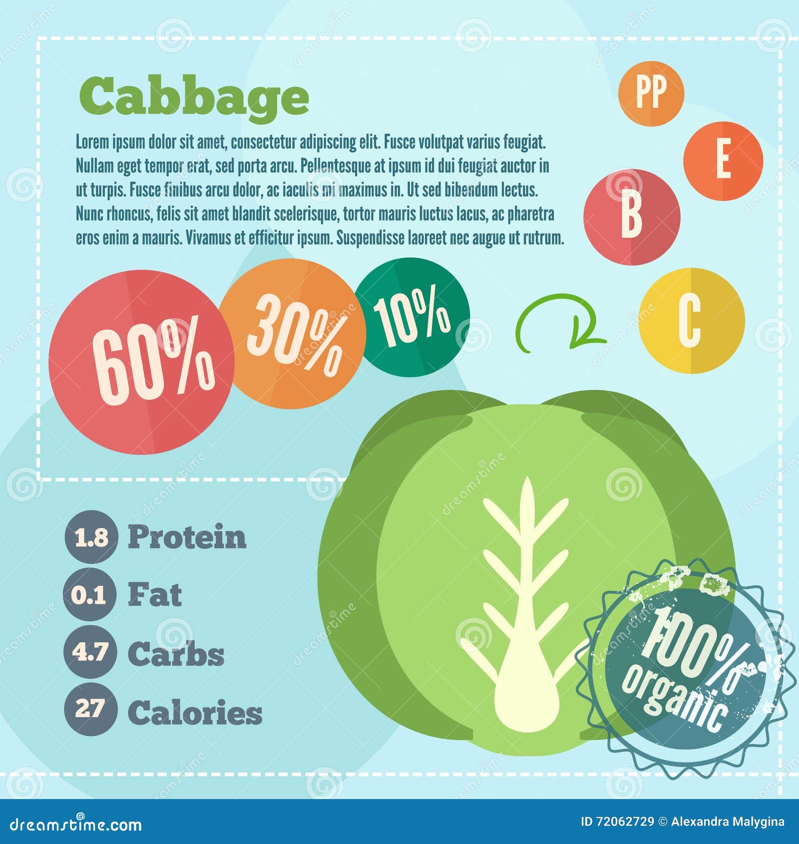 Cabbage Infographics and Vitamins Stock Vector - Illustration of garden ...