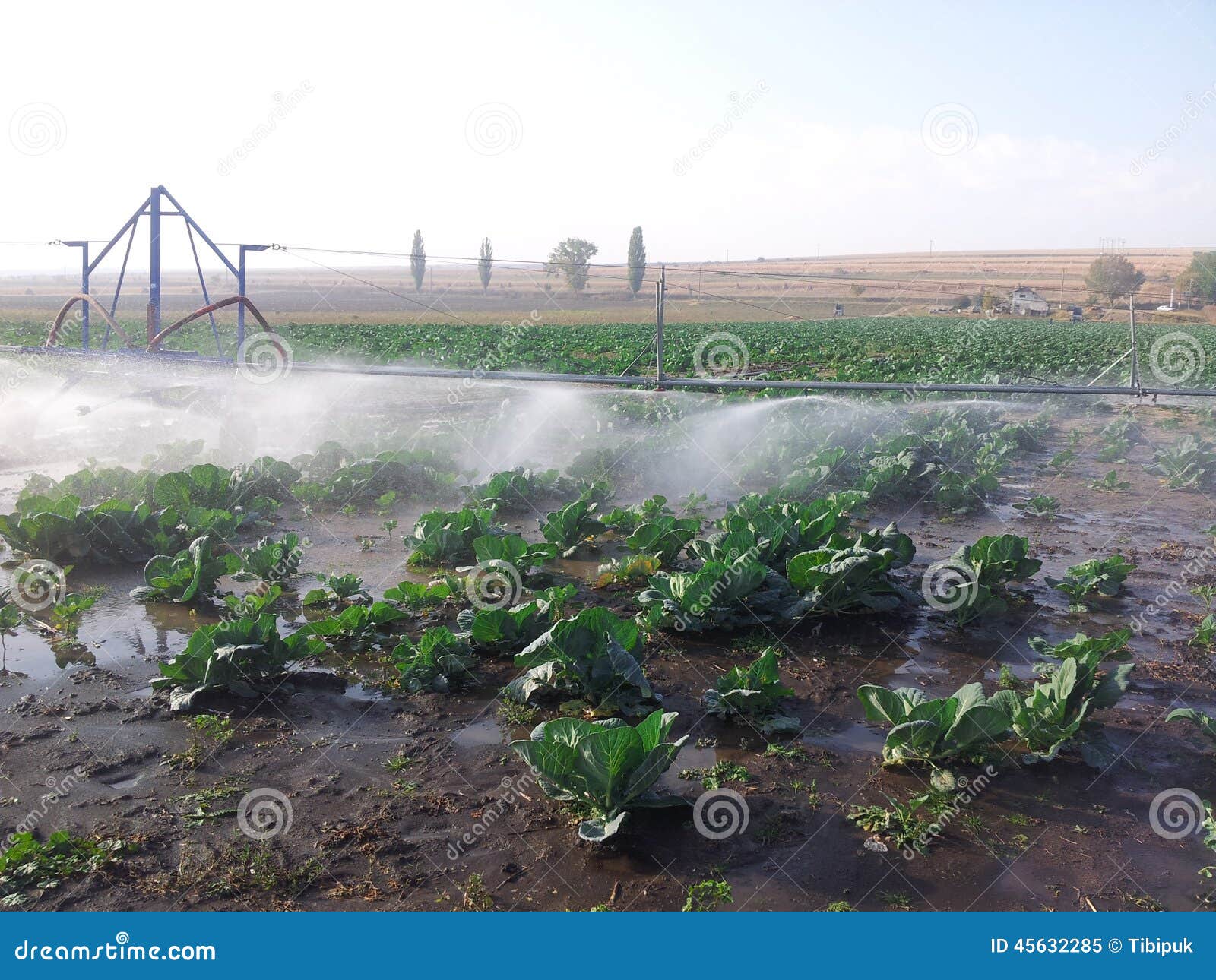 Irigation Process Stock Photos - Free & Royalty-Free Stock Photos from ...