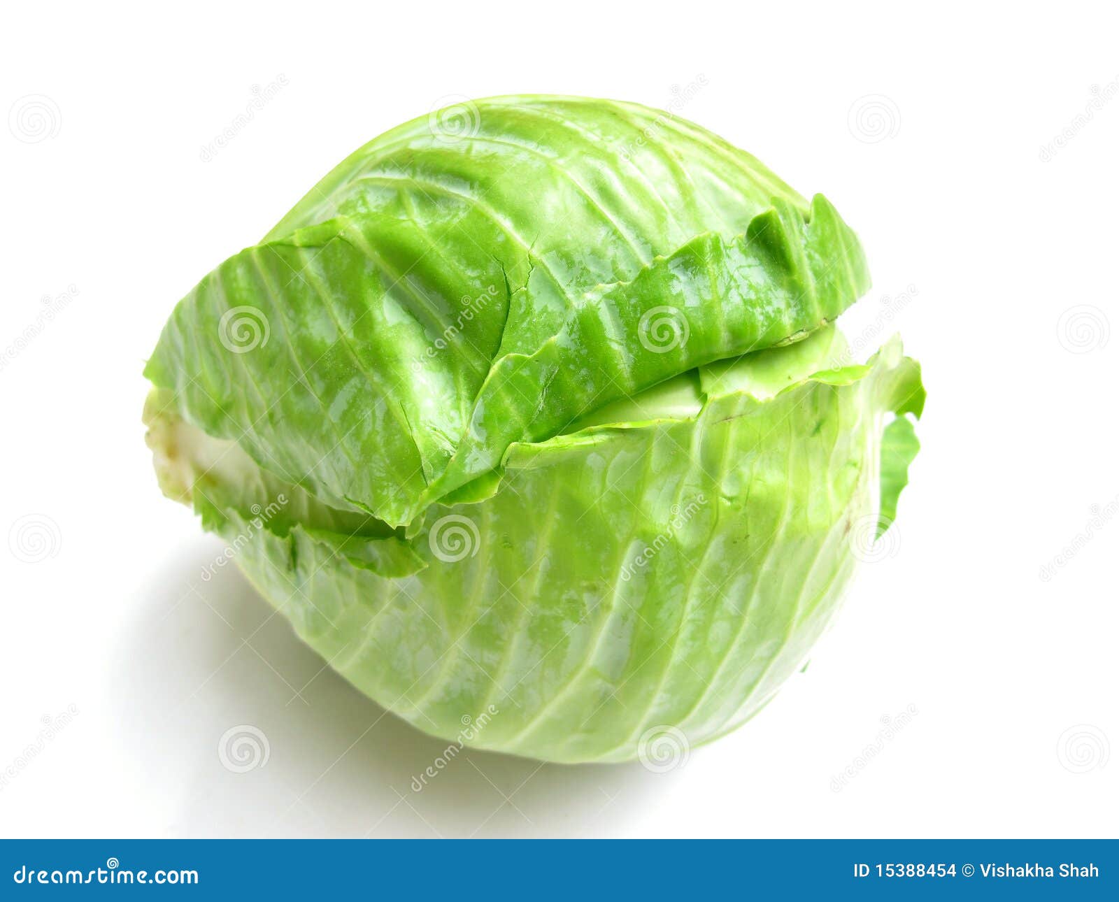 Cabbage-Isolated stock photo. Image of ingredients, leafy - 15388454