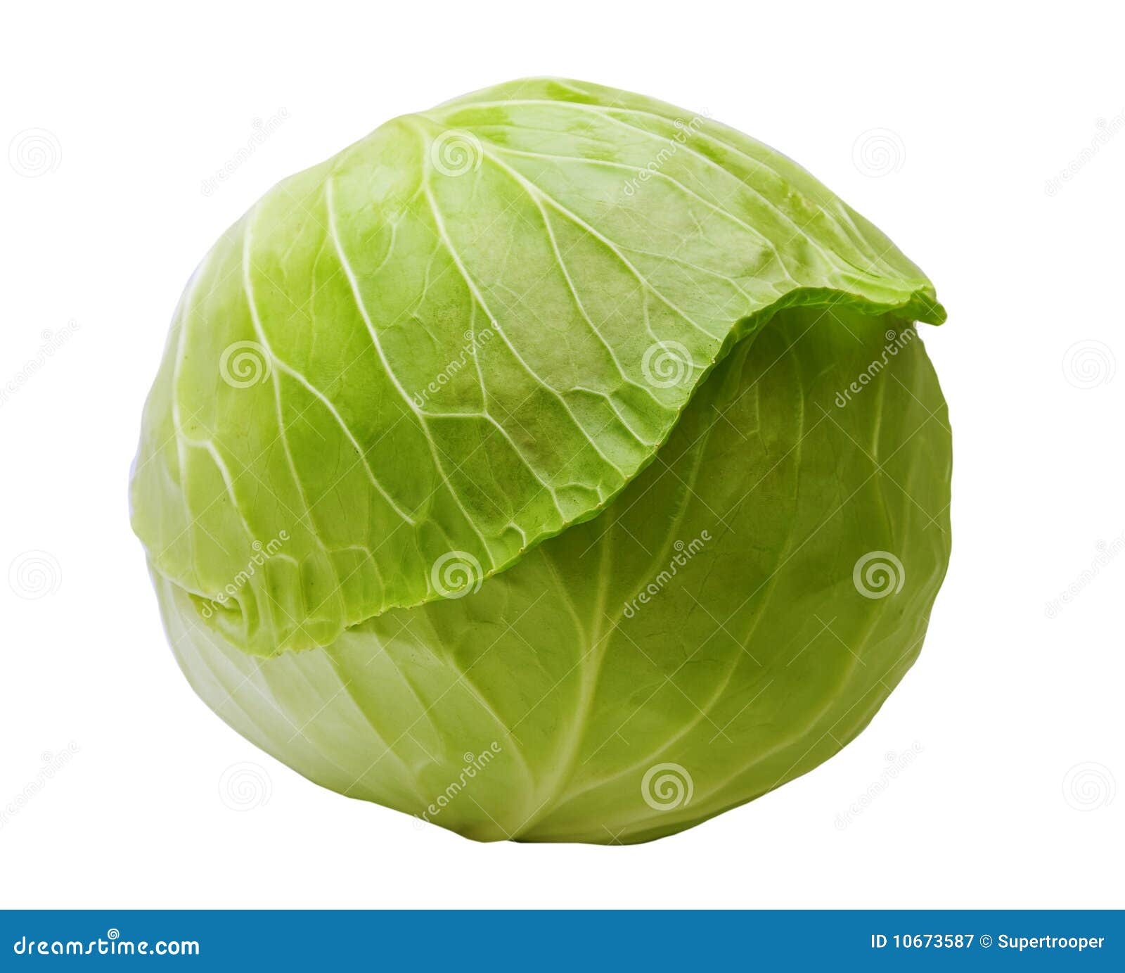 Cabbage is Isolated on a White Stock Image - Image of health ...
