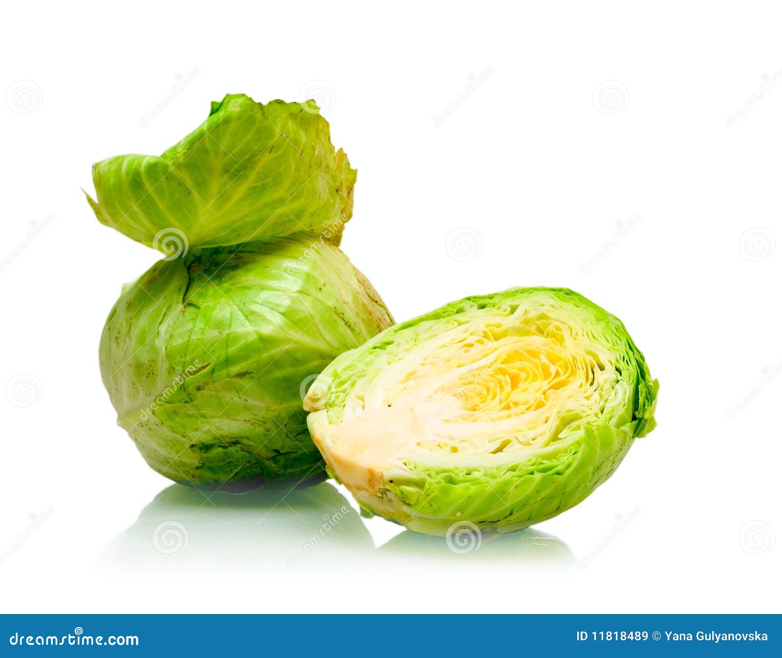 Cabbage isolated on white stock image. Image of leaf - 11818489