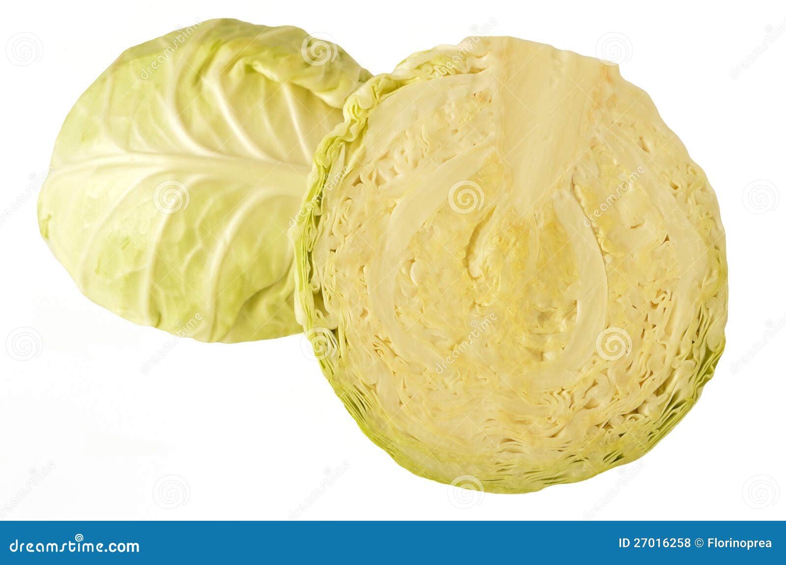 Cabbage isolated on white stock photo. Image of organic - 27016258