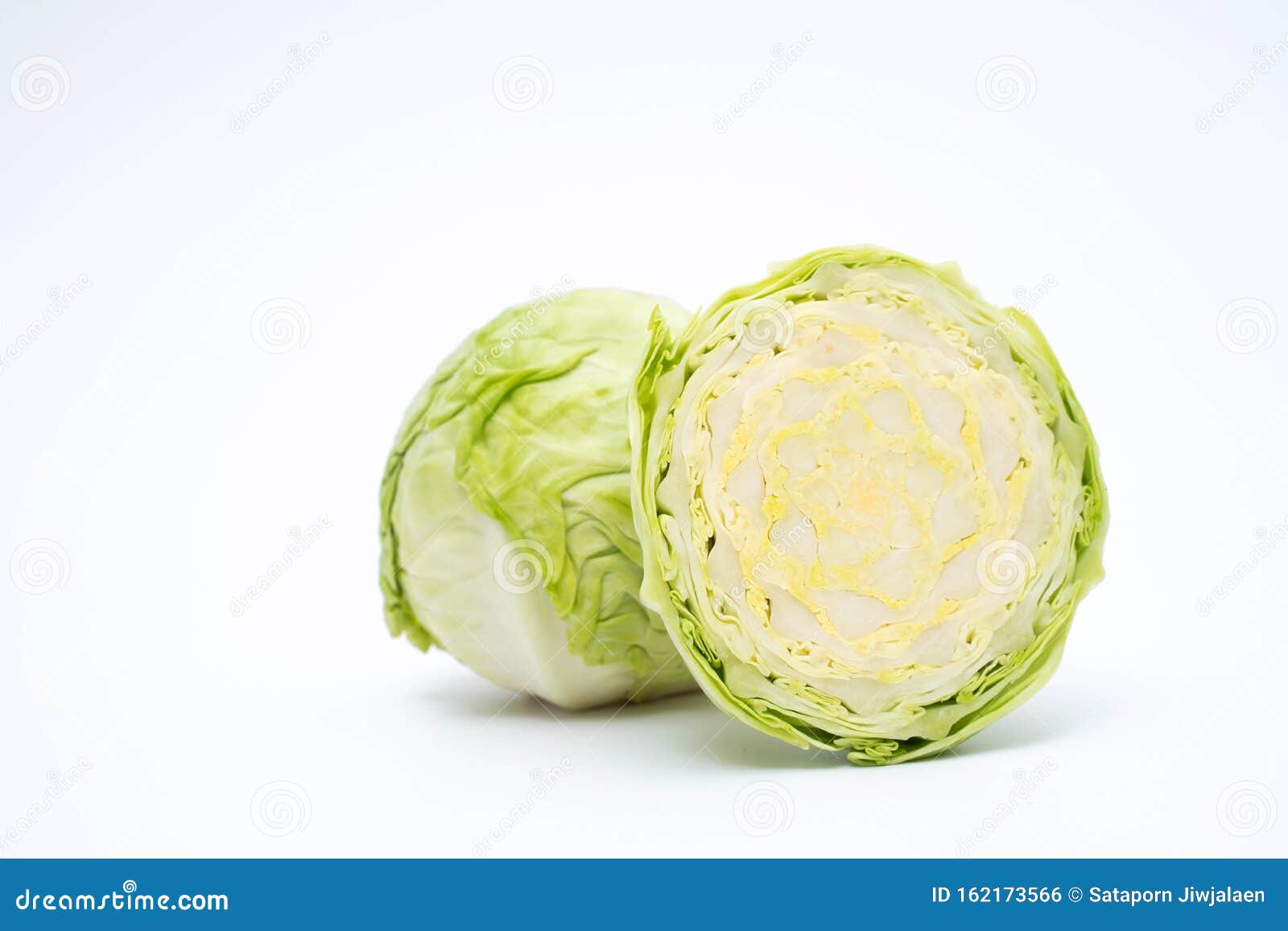 Cabbage isolated on white stock photo. Image of fresh - 162173566